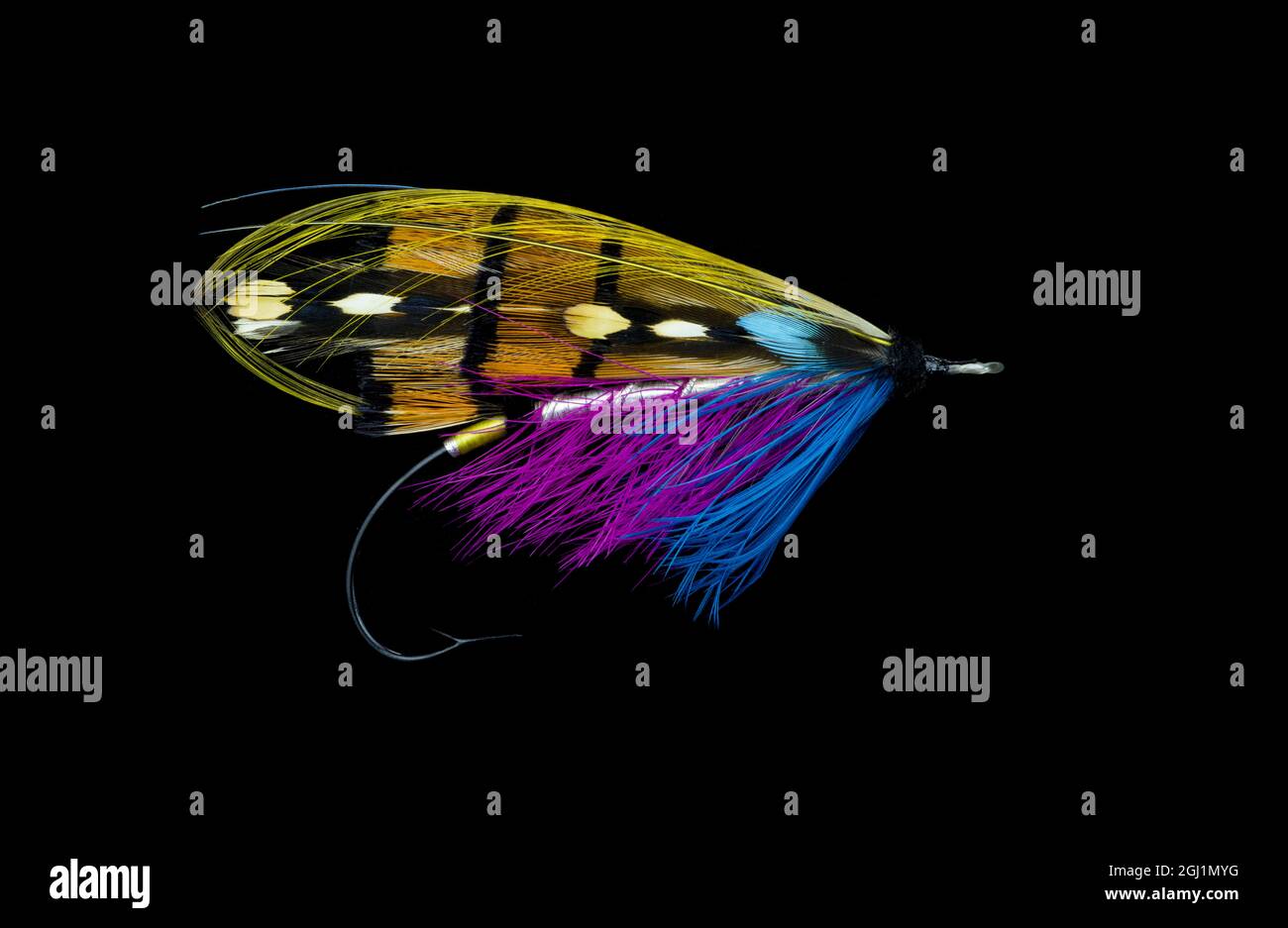 Atlantic Salmon Fly designs 'March Mujrderer' Stock Photo - Alamy