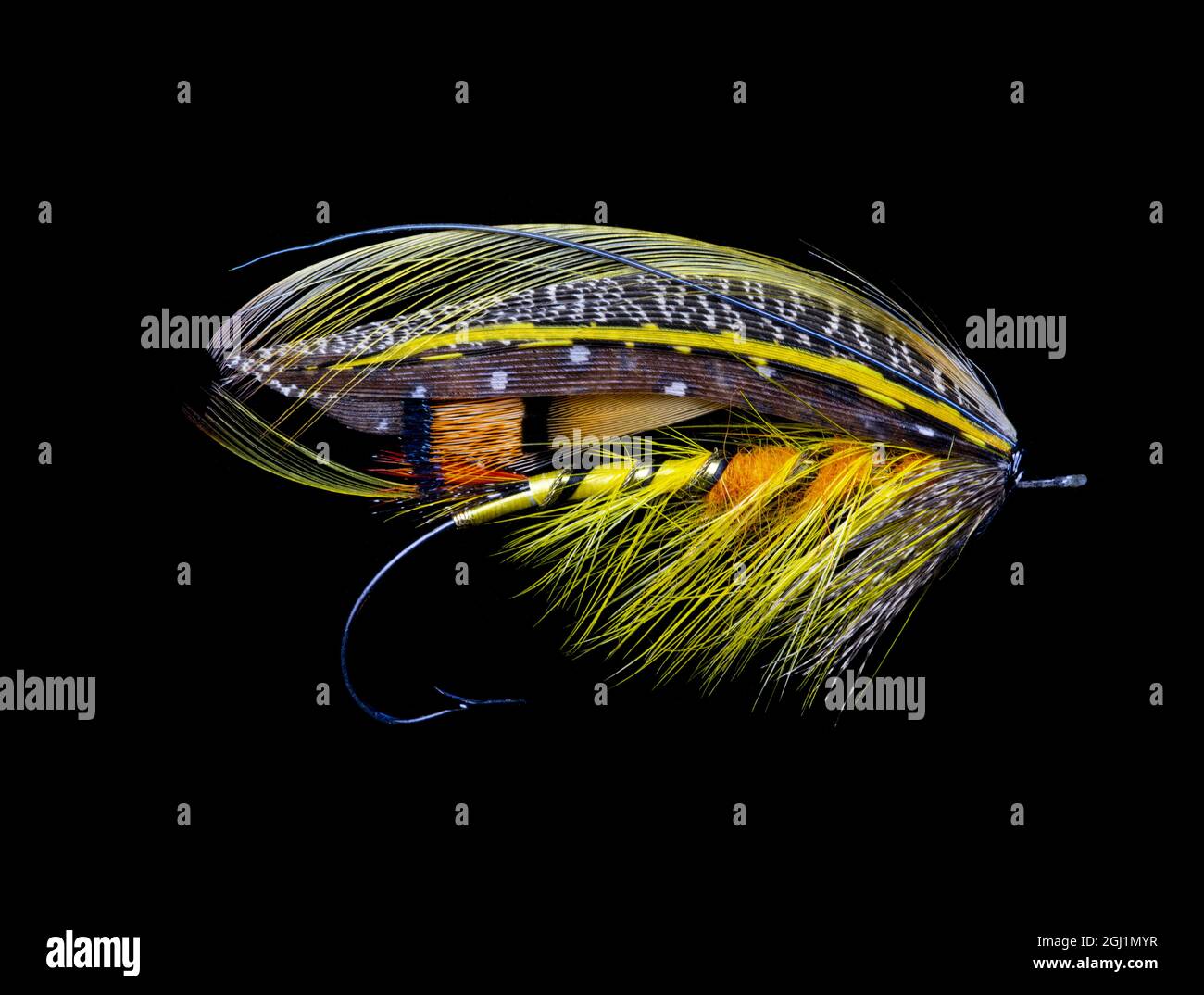 Atlantic Salmon Fly designs 'Colonel' Stock Photo - Alamy