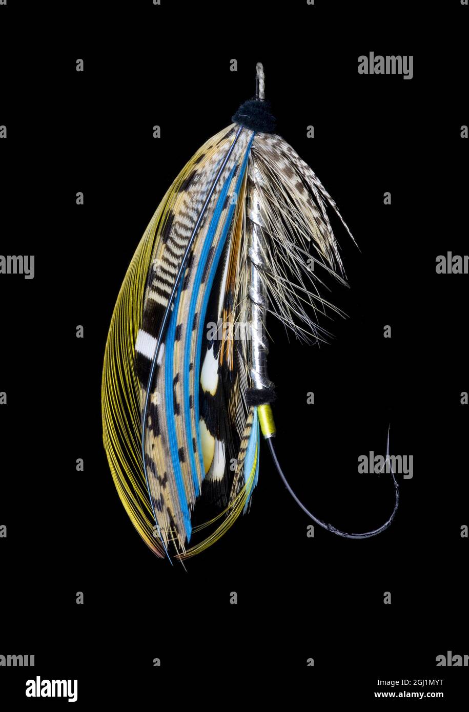 Silver gray fly hi-res stock photography and images - Alamy