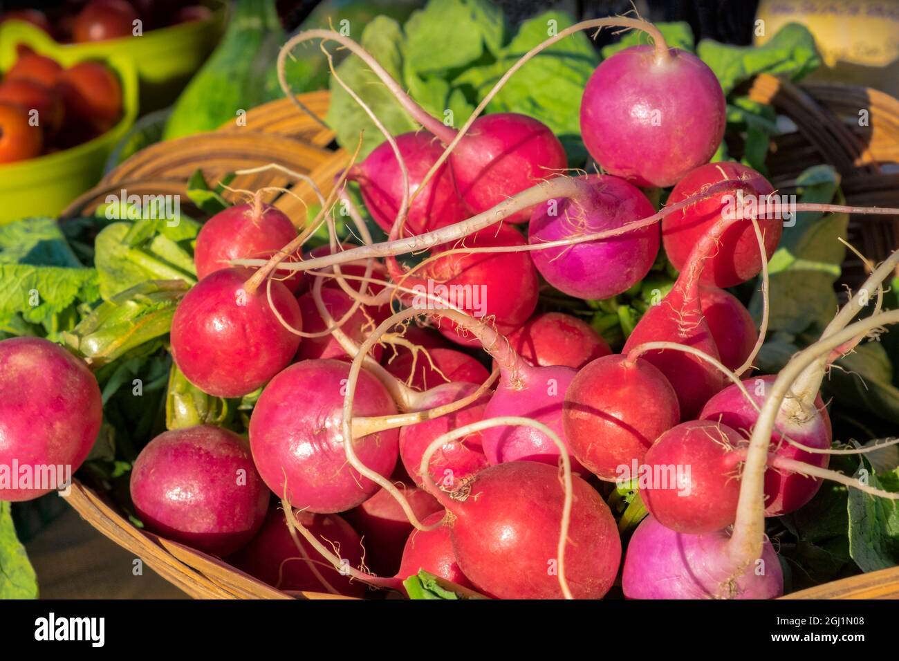 Fresh radishes at farmer's market, USA Stock Photo - Alamy