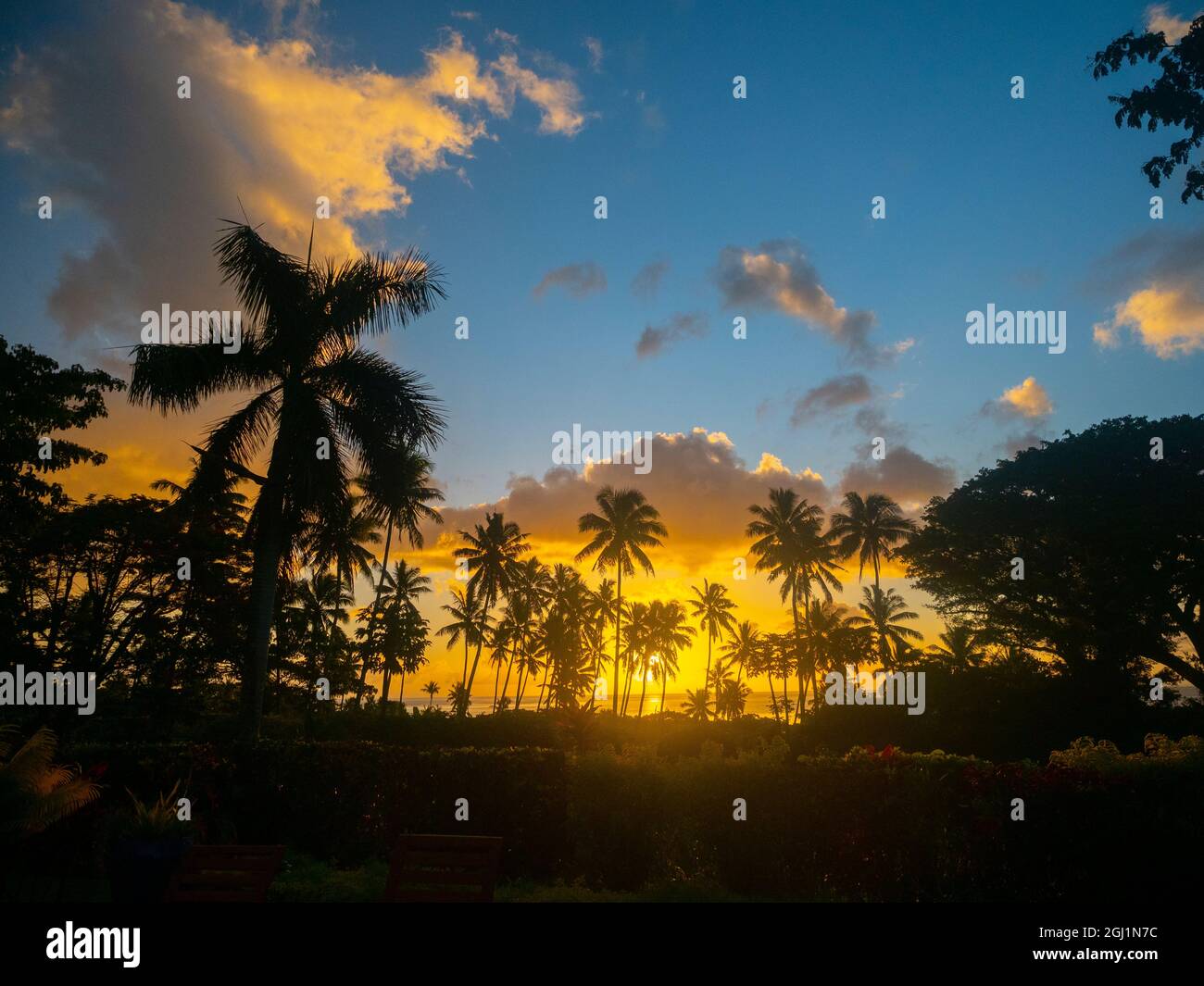 Fiji, Taveuni Island. Beach sunset with palm trees Stock Photo - Alamy