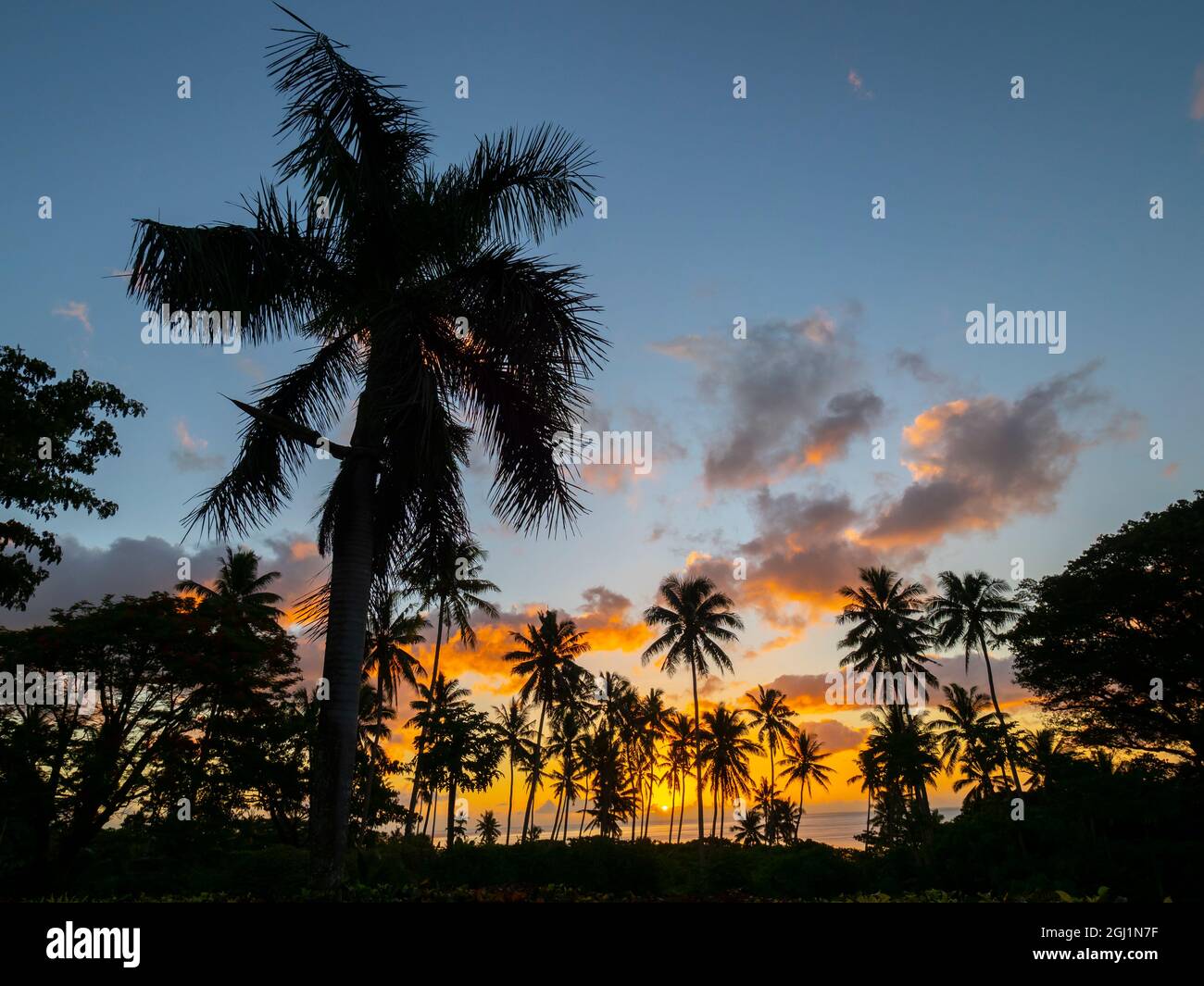 Fiji, Taveuni Island. Beach sunset with palm trees Stock Photo - Alamy