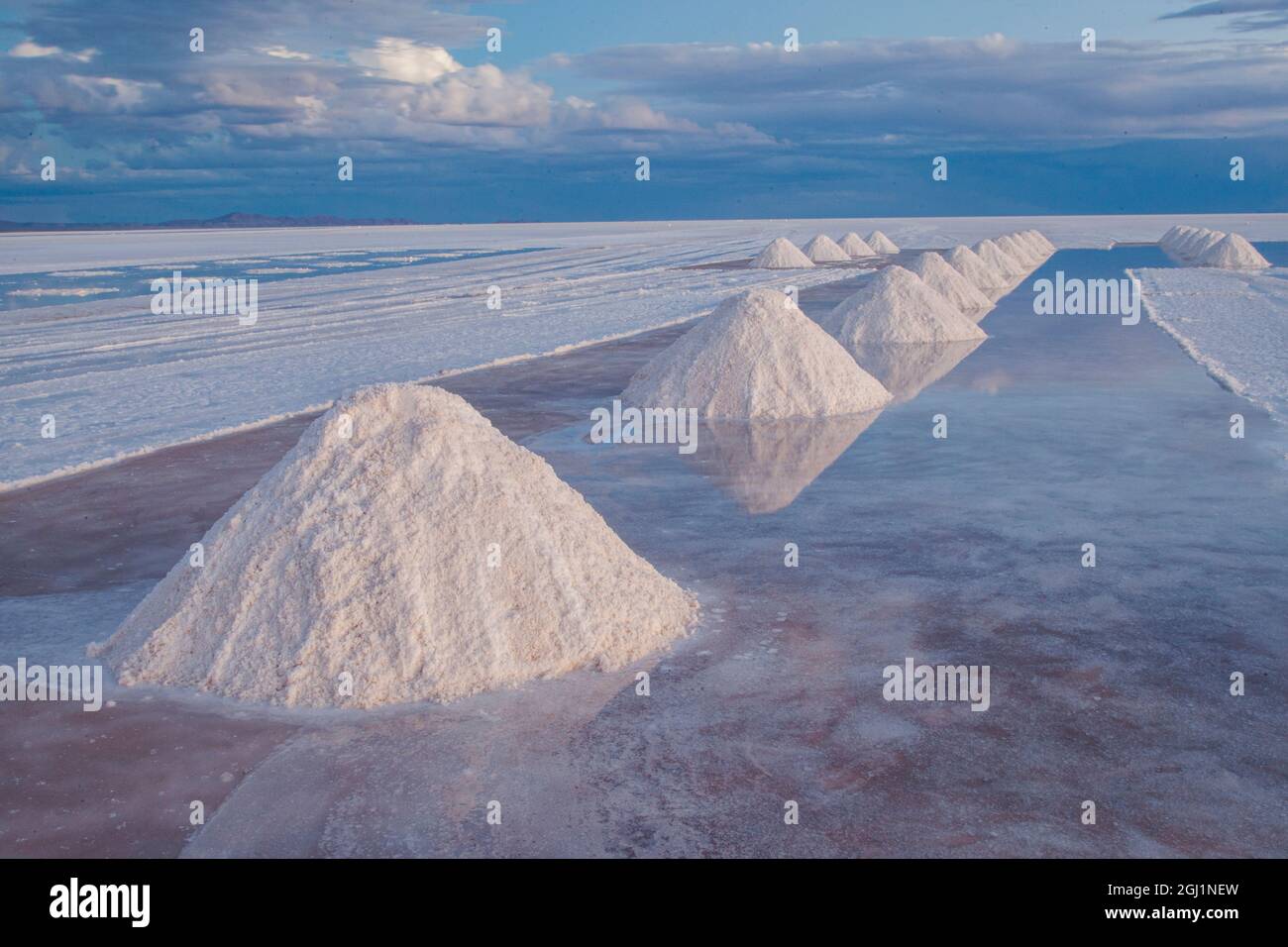 Bolivia, Uyuni, Salar de Uyuni. Cones of salt have been scraped up so ...