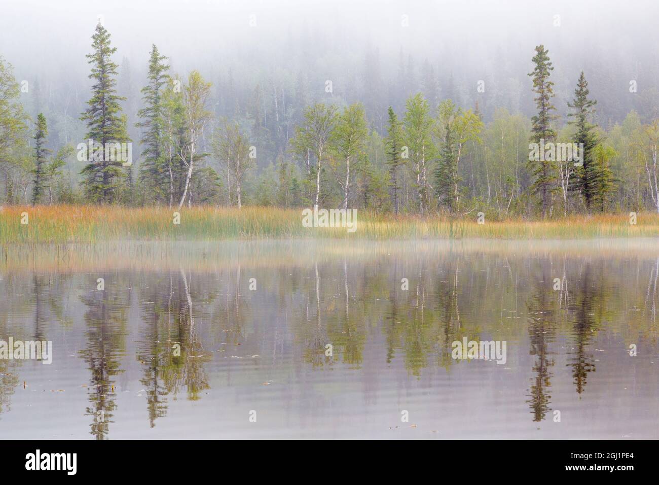 Little lost lake hi-res stock photography and images - Alamy