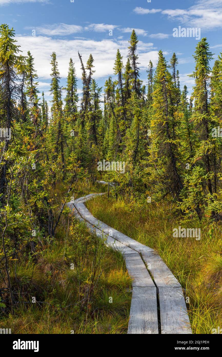, Alaska, Tetlin National Wildlife Refuge. Scenic of Hidden Lake Trail ...