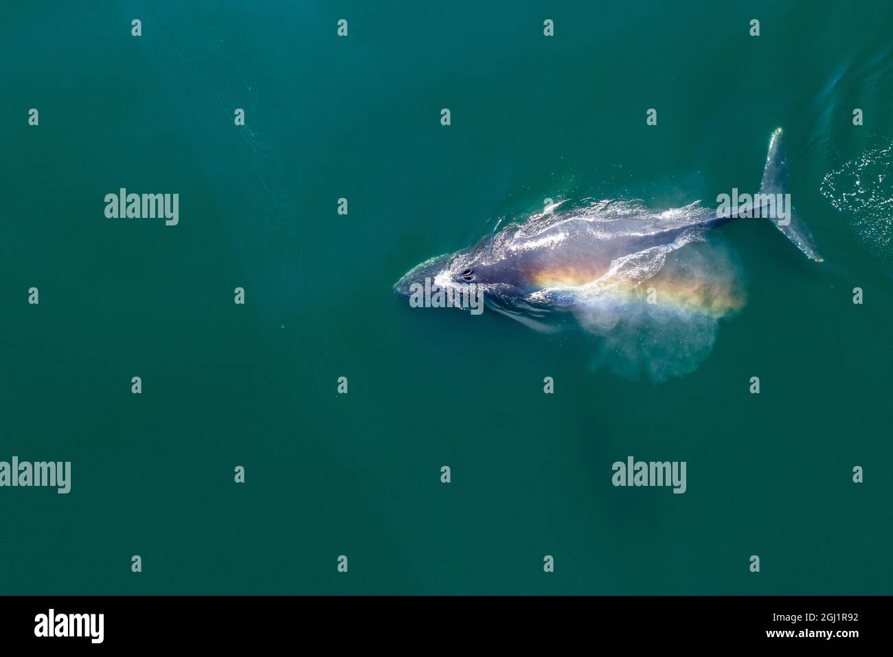USA, Alaska, Aerial view of rainbow-colored mist hanging above Humpback ...