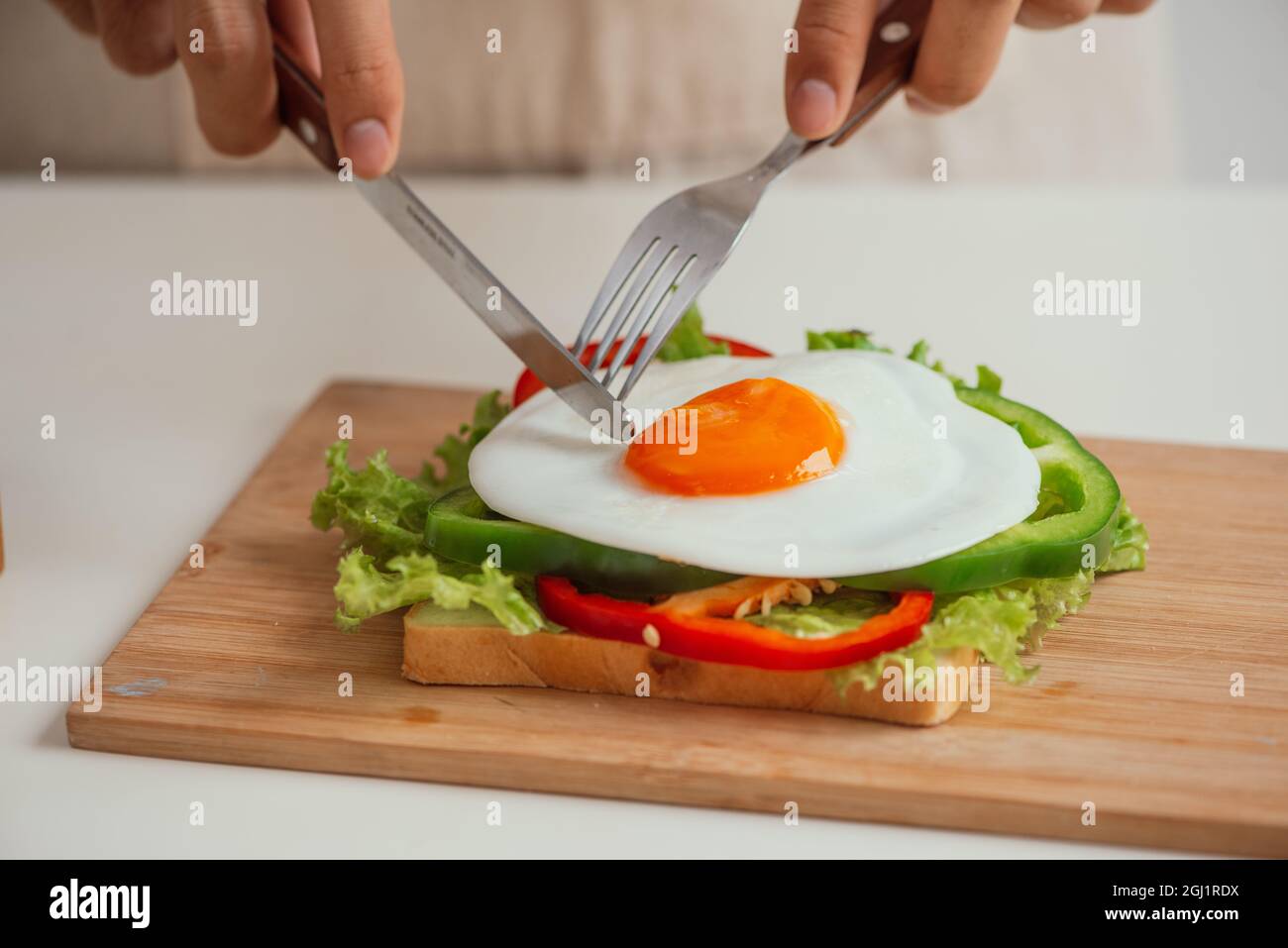 Close up photo of hands holding big tasty sandwich Stock Photo - Alamy