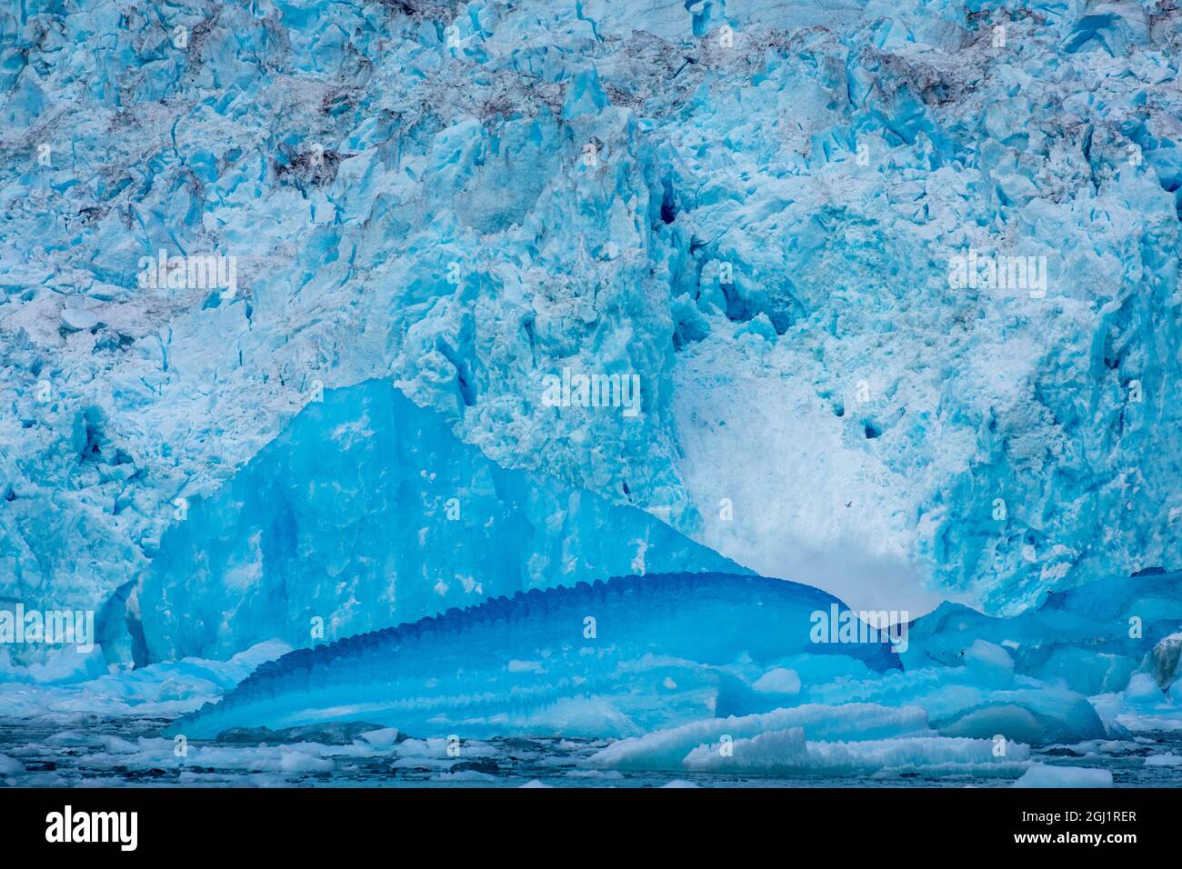 USA, Alaska, Massive blue underwater iceberg floating after calving ...