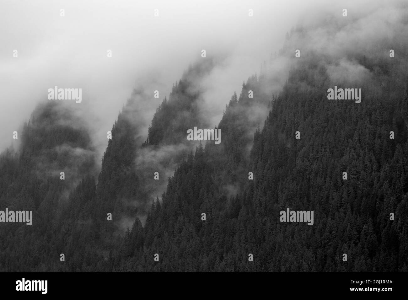 USA, Alaska, Petersburg, Mist covers coastal rainforest and mountains ...
