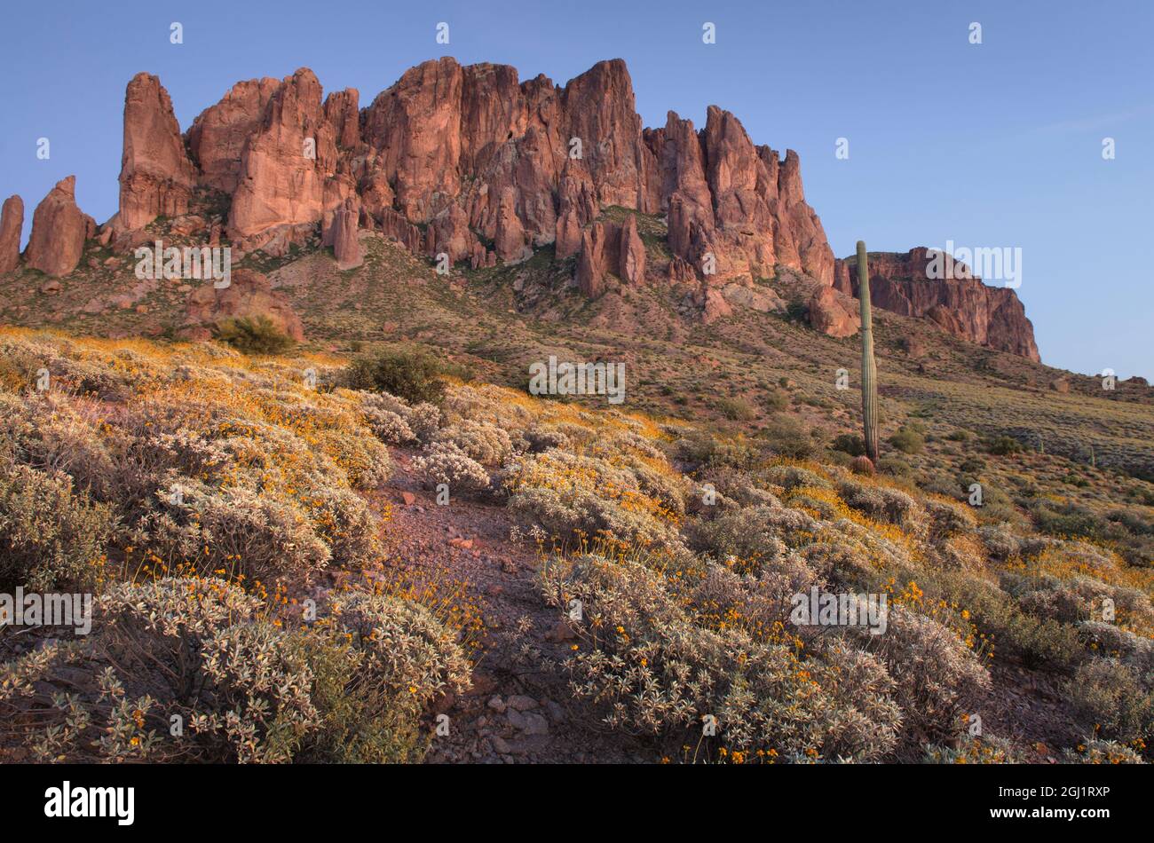 USA, Arizona. Flat Iron Peak, Superstition Mountains Stock Photo - Alamy