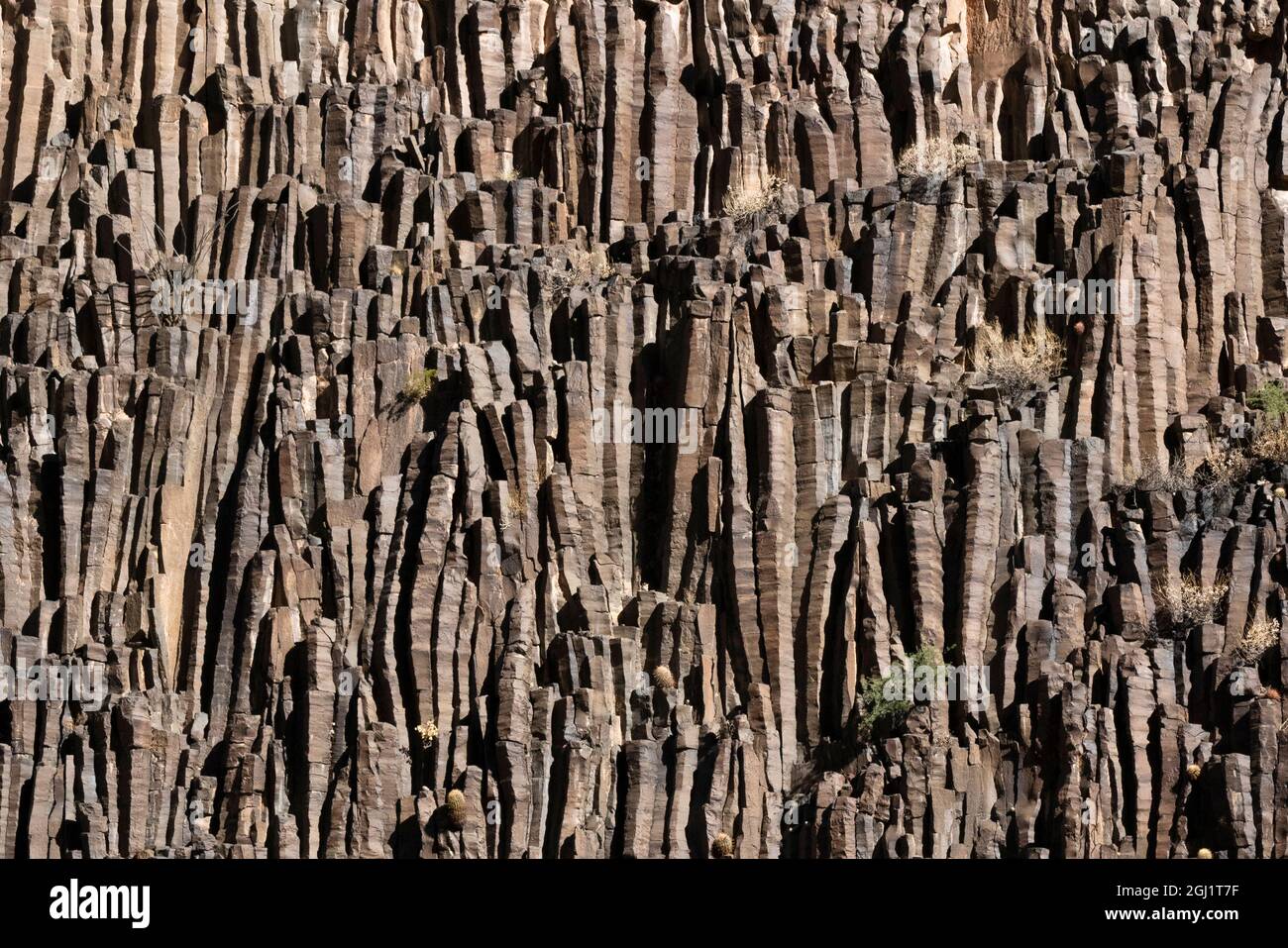 USA, Arizona. Columnar basalt along the Colorado River, Grand Canyon ...