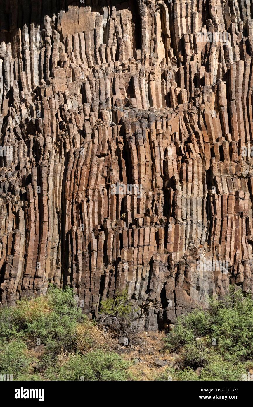 USA, Arizona. Columnar basalt along the Colorado River, Grand Canyon ...