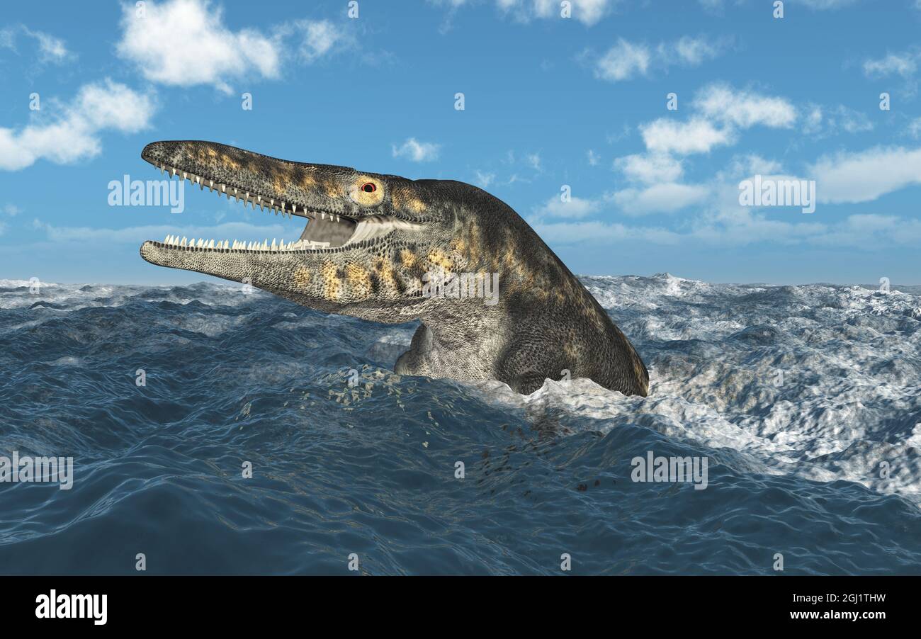 Dinosaur tylosaurus hi-res stock photography and images - Alamy