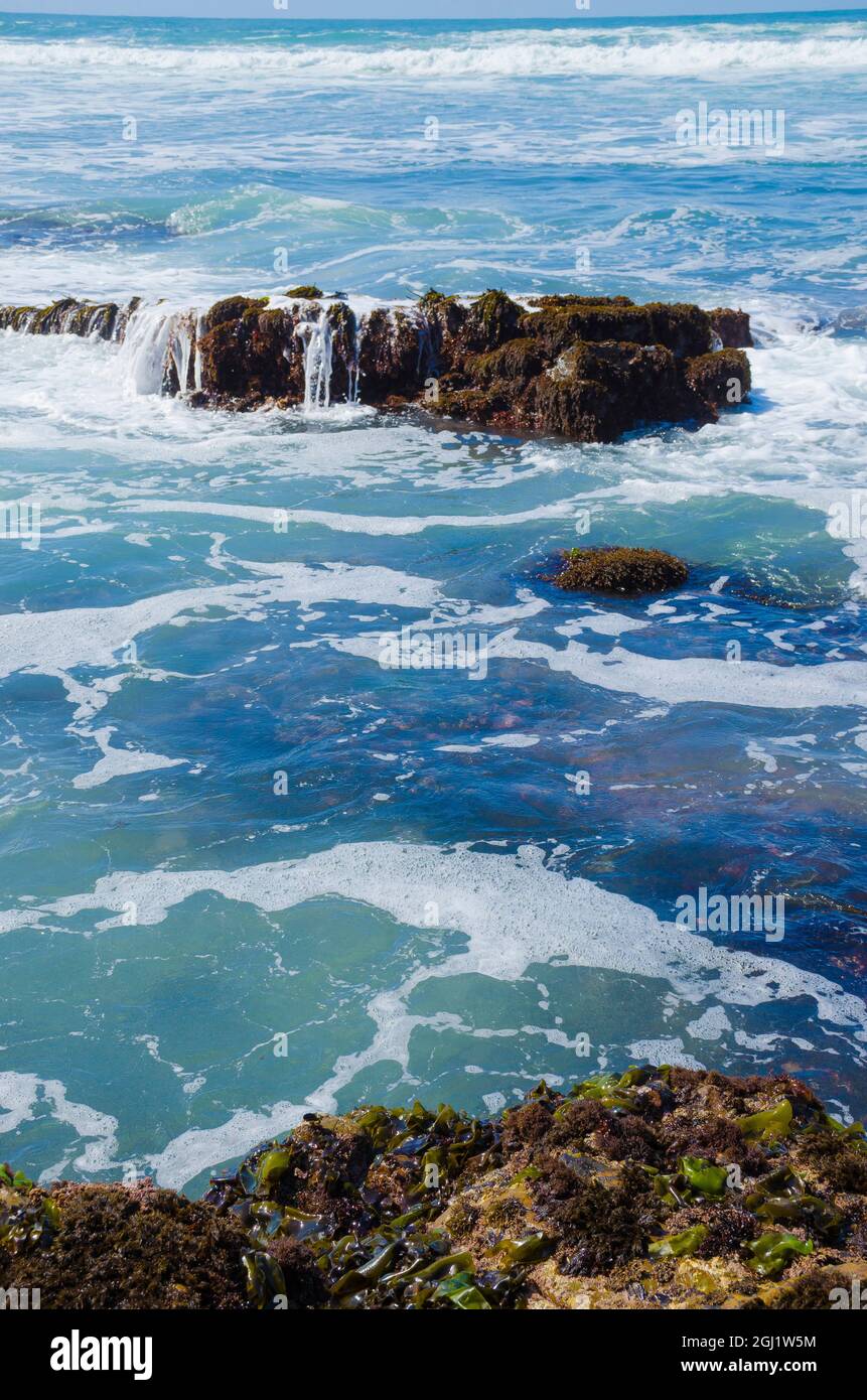 Fitzgerald Marine Reserve, California, USA Stock Photo - Alamy