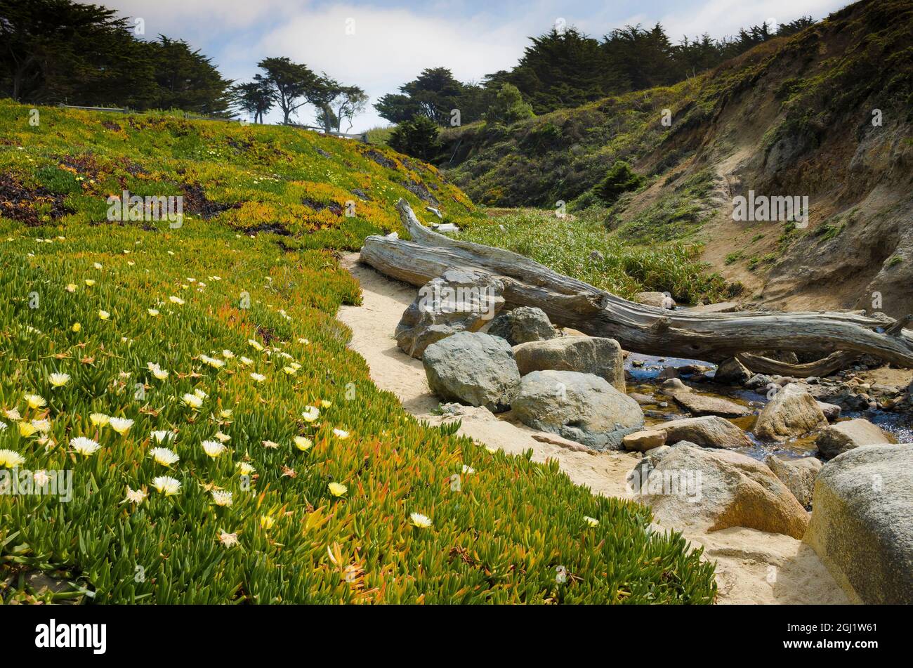 Fitzgerald Marine Reserve, California, USA Stock Photo - Alamy