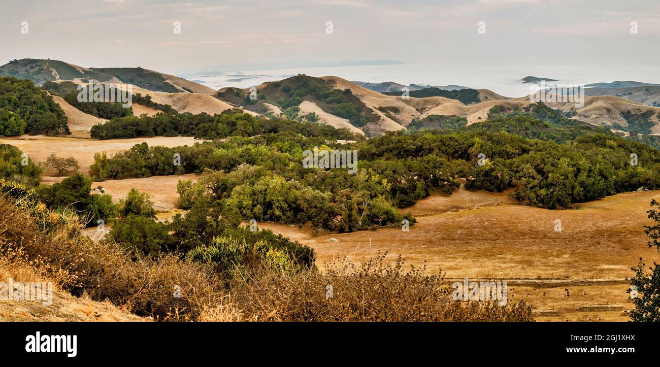 Coastal Range, Paso Robles, California Stock Photo - Alamy