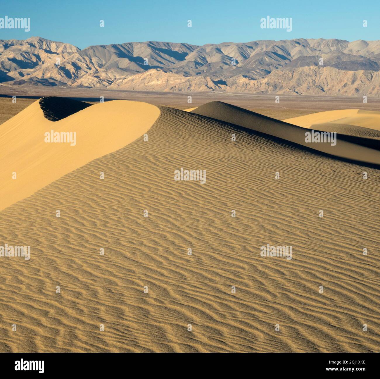 USA, California. Death Valley National Park, Mesquite Flats Sand Dunes ...
