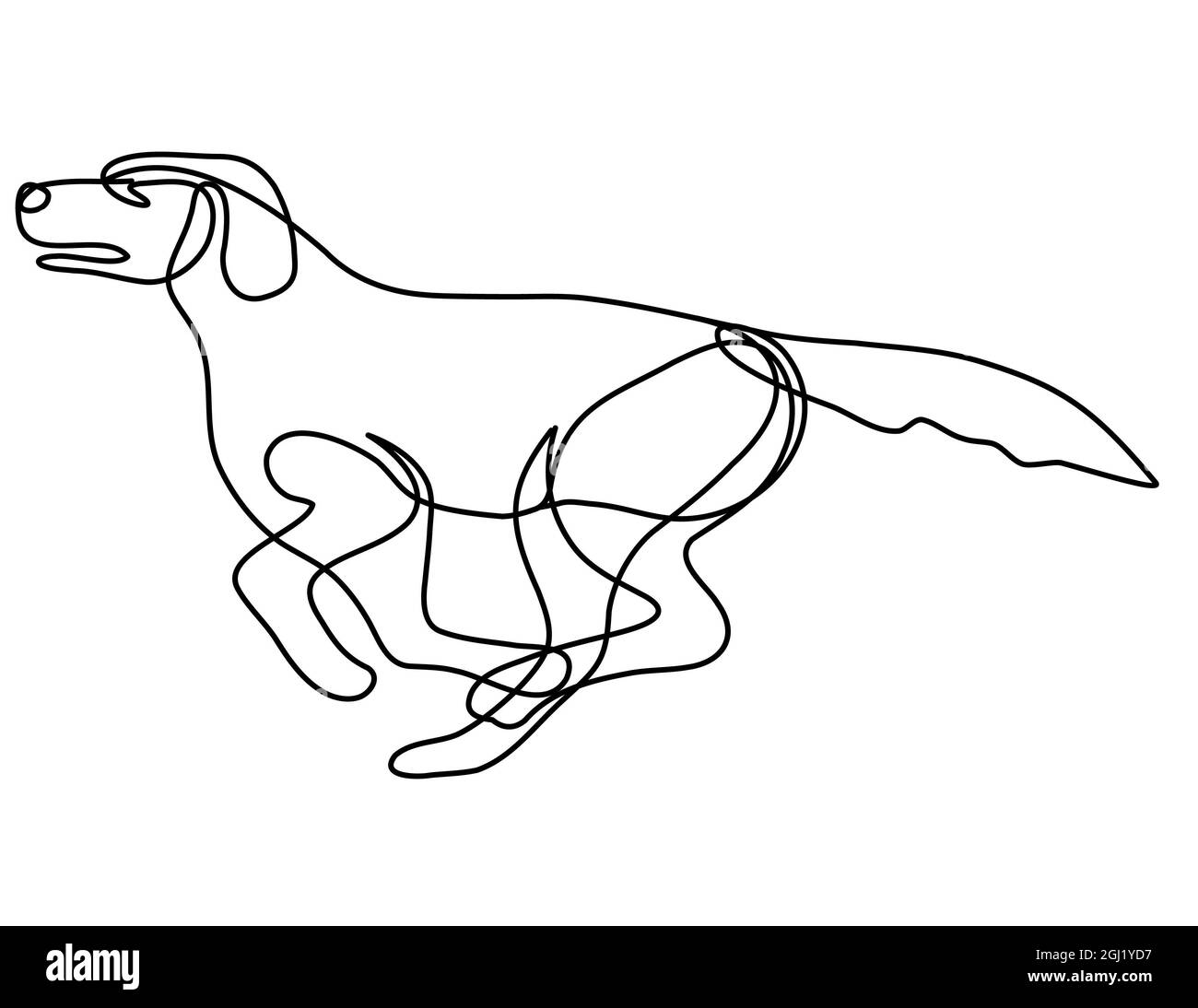 Labrador side view Black and White Stock Photos & Images - Alamy