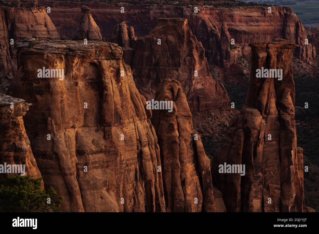 USA, Colorado, Colorado National Monument. Sunrise on sandstone pillars ...