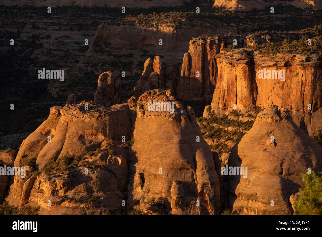 USA, Colorado, Colorado National Monument. Sunrise on sandstone pillars ...