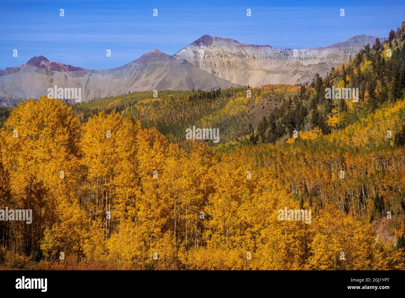 USA, Colorado, Uncompahgre National Forest. Autumn landscape and the ...