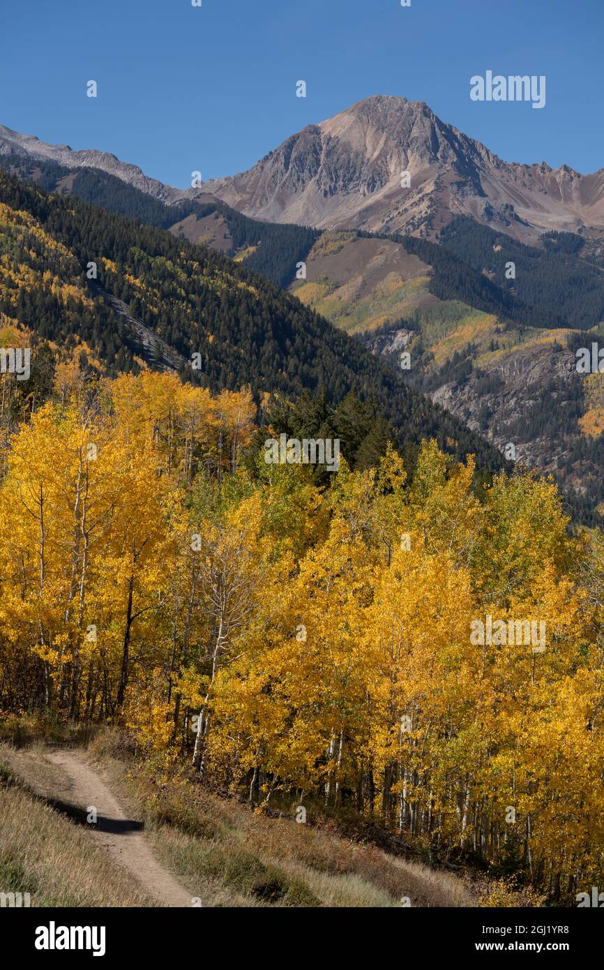 Daly mountain hi-res stock photography and images - Alamy