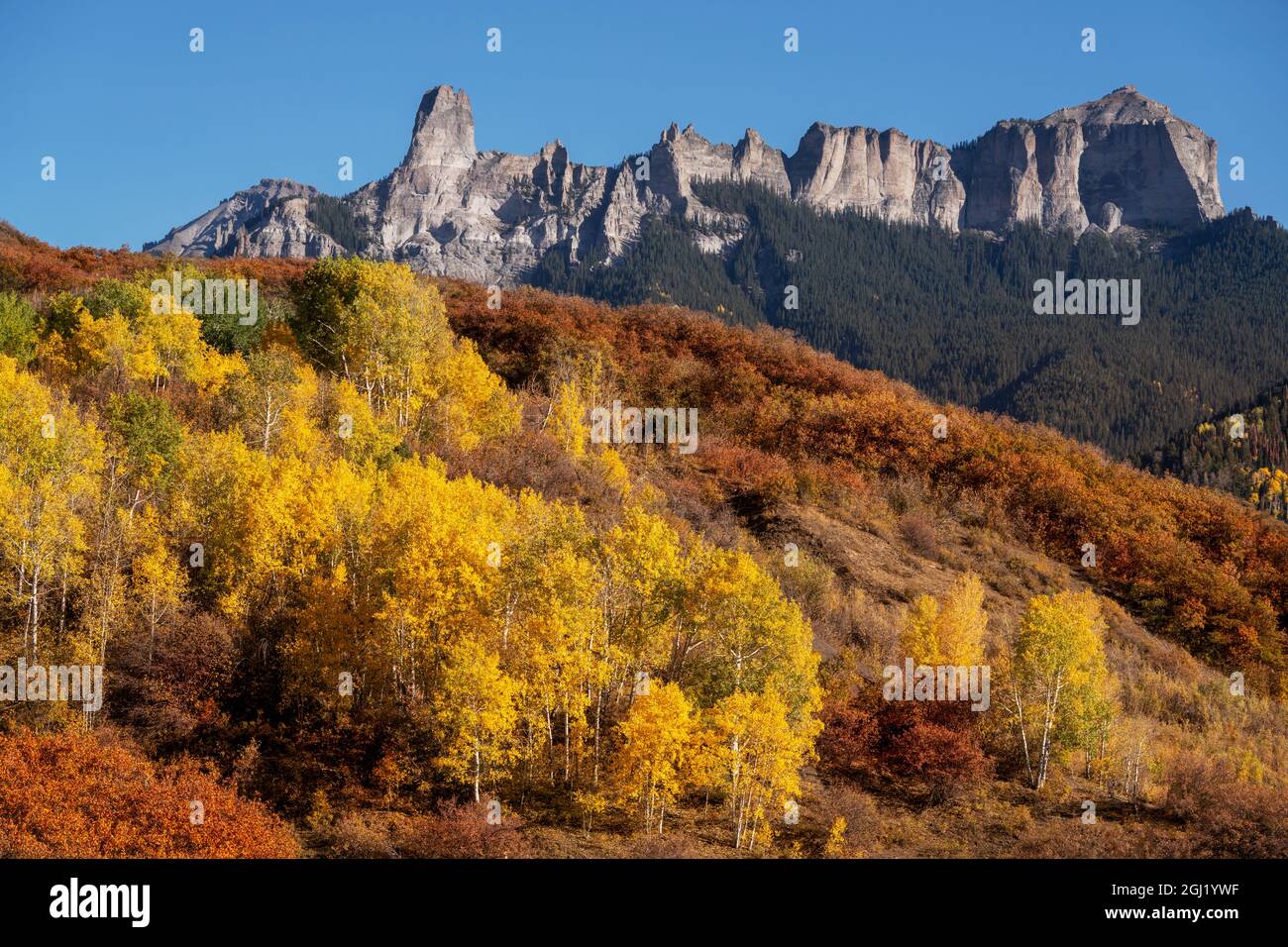 USA, Colorado, Uncompahgre National Forest. Landscape with forest and ...