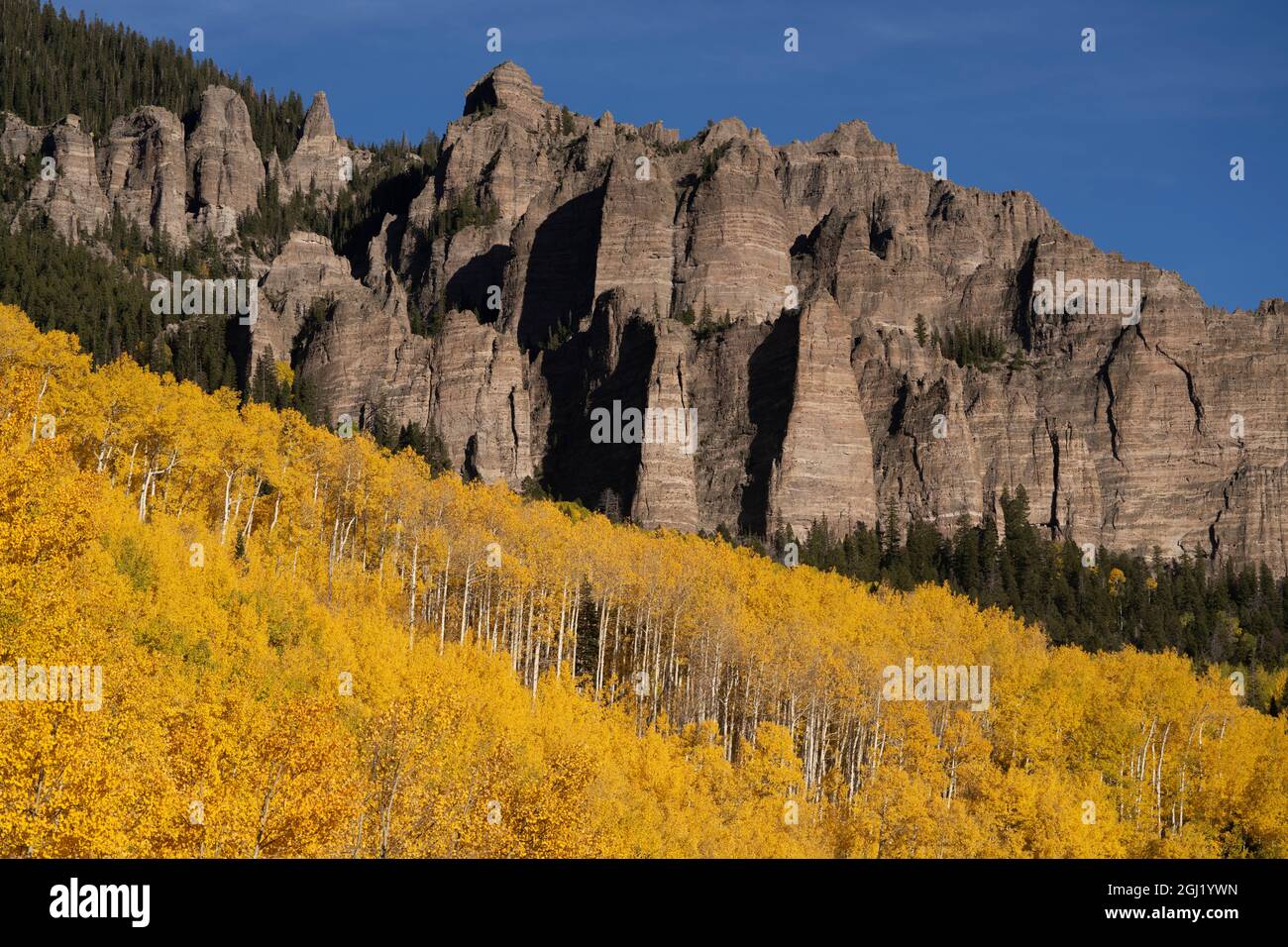 USA, Colorado, Uncompahgre National Forest. High Mesa rock outcrop and ...