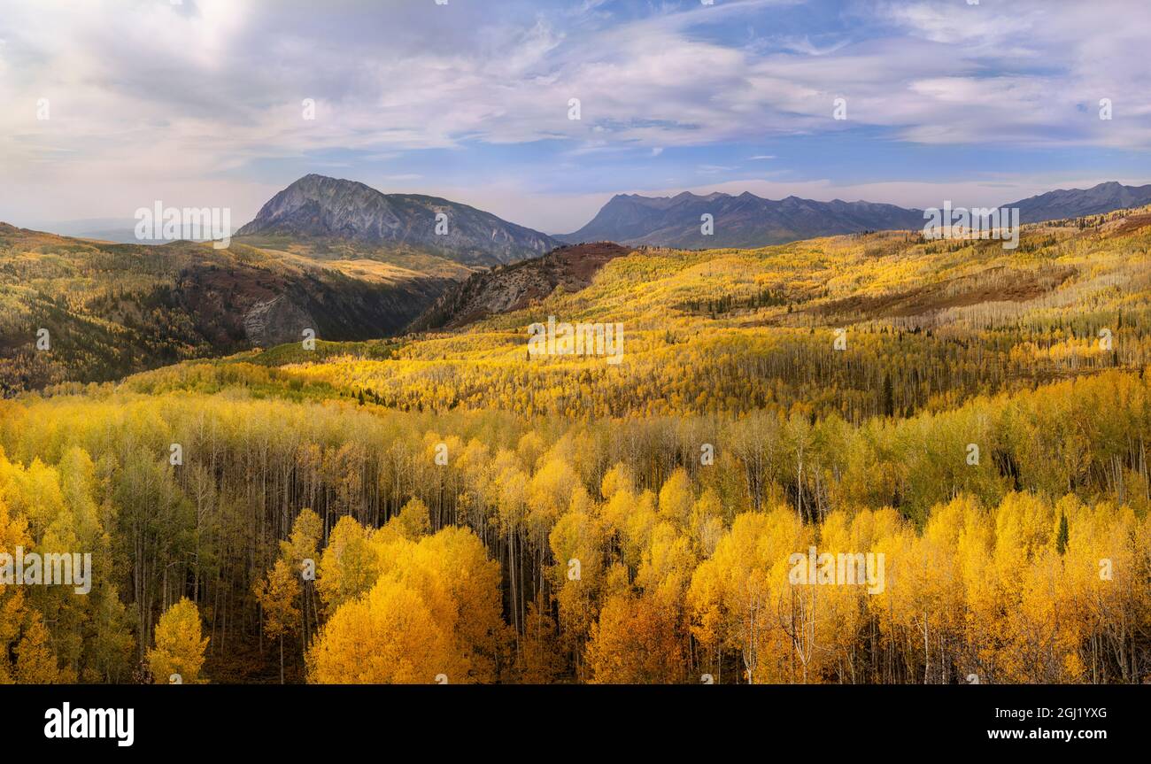 USA, Colorado, Gunnison National Forest. Aspen forest and mountains in ...