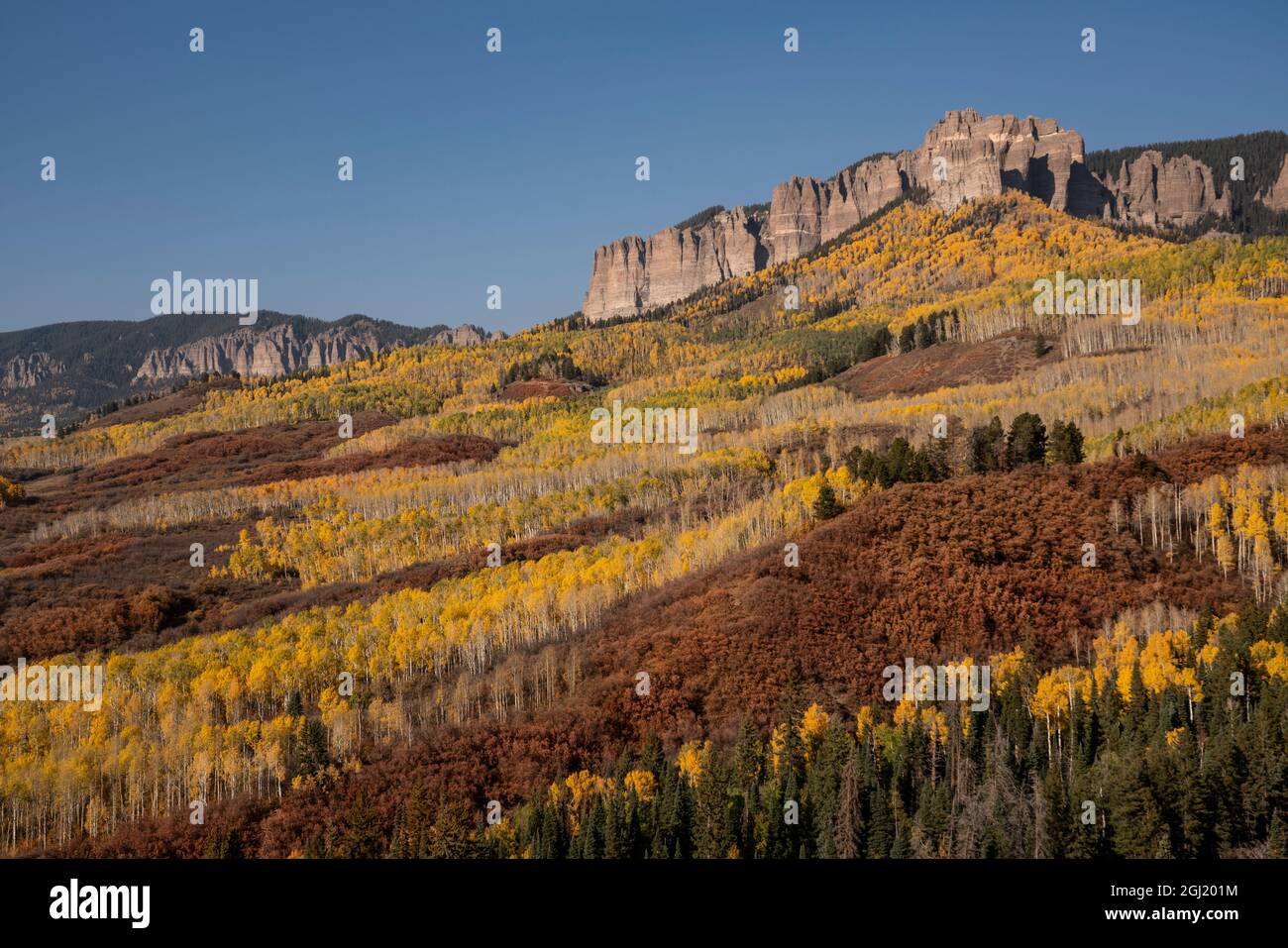 USA, Colorado, Uncompahgre National Forest. Cimarron Ridge and forest ...