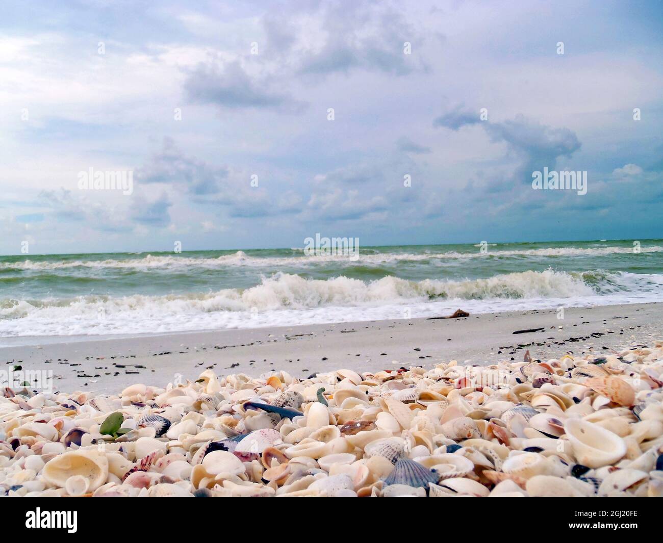 Sanibel island florida and shells hi-res stock photography and images ...
