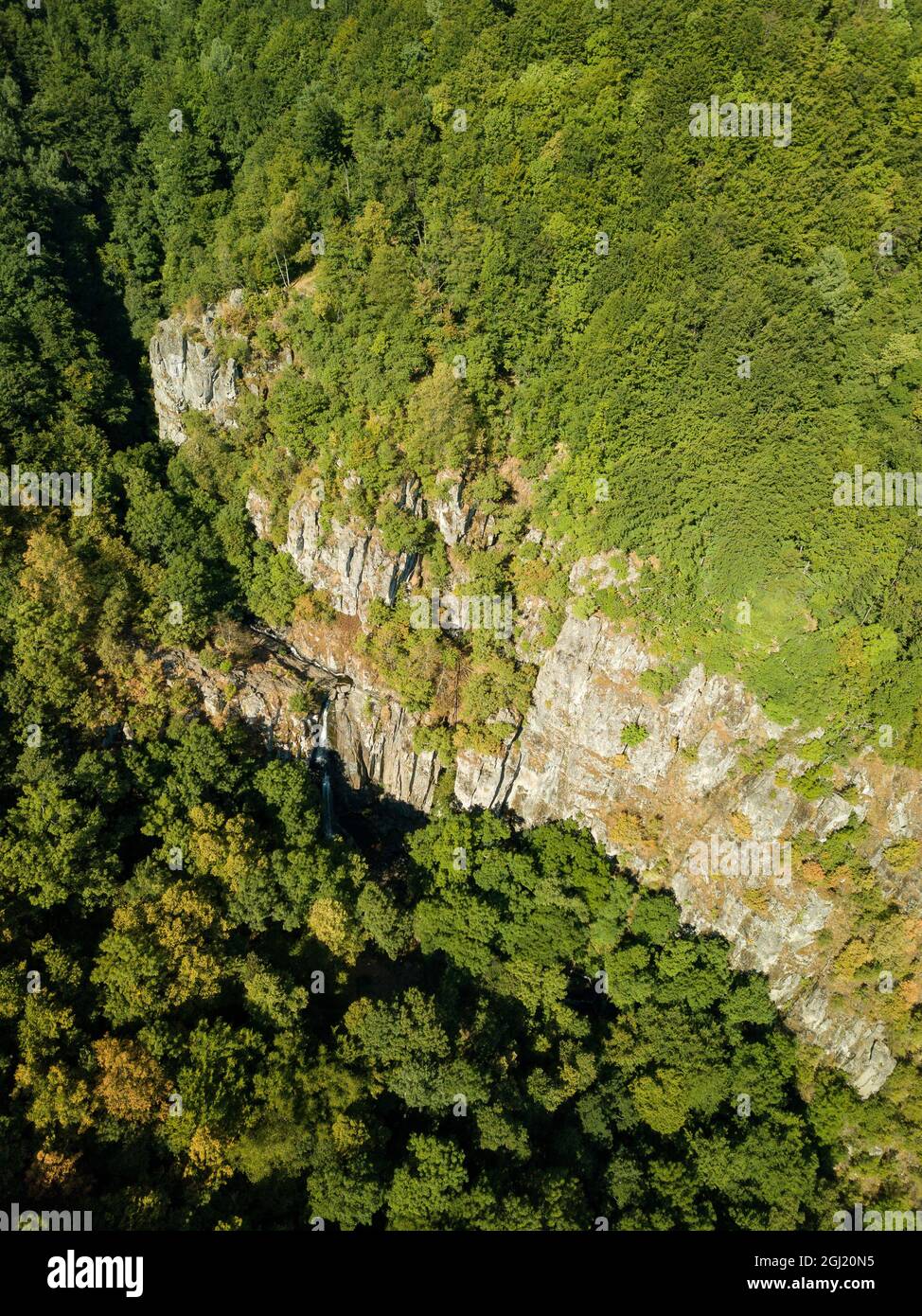 Aerial view of green cliffs covered in trees Stock Photo - Alamy