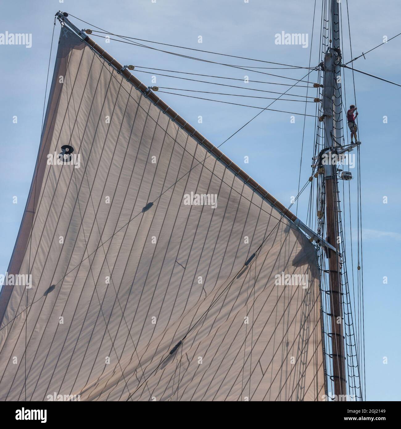 USA, Massachusetts, Cape Ann, Gloucester. Gloucester Schooner Festival, schooner sails Stock ...