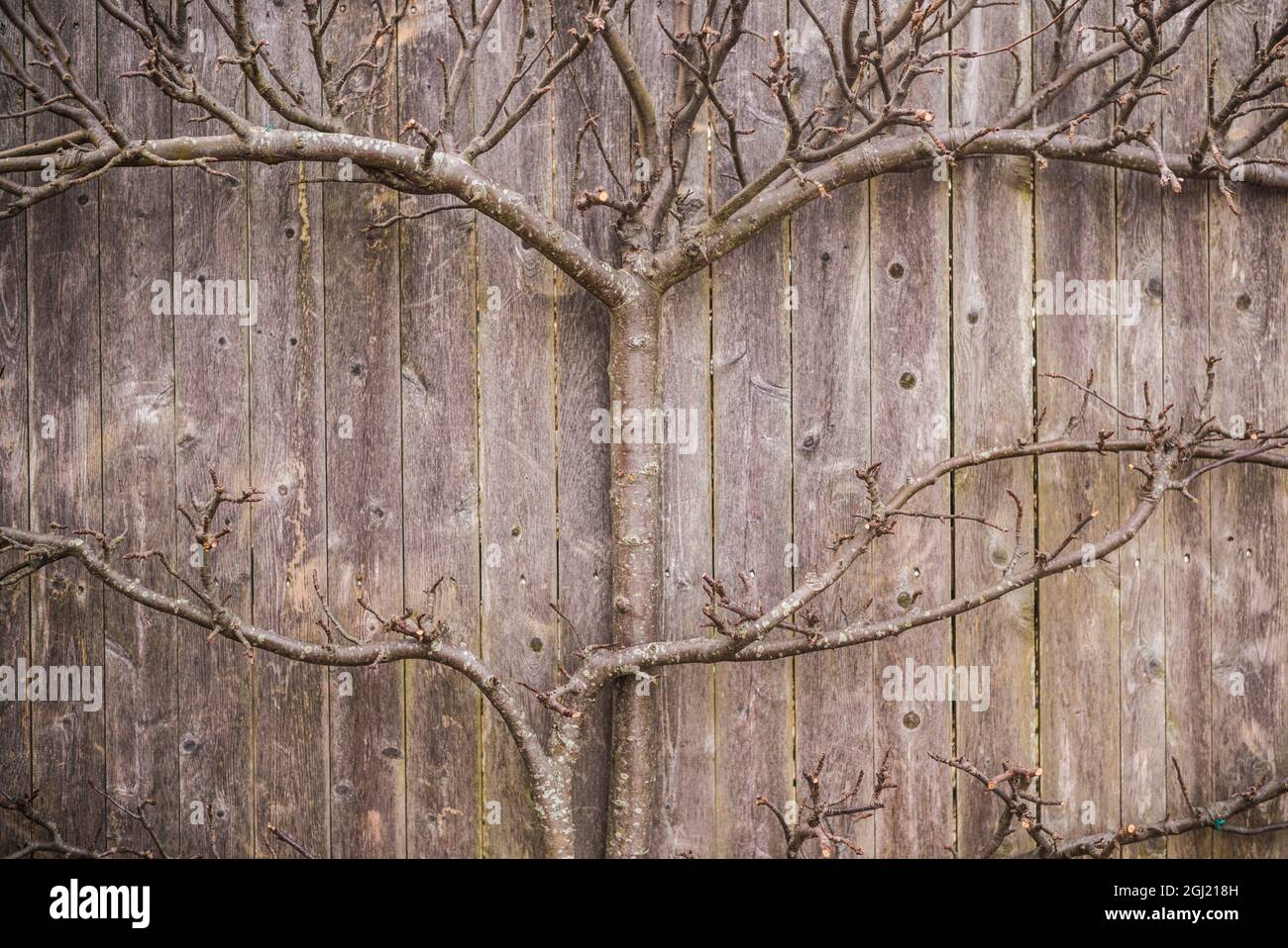 Provincetown cape cod winter hi-res stock photography and images - Alamy