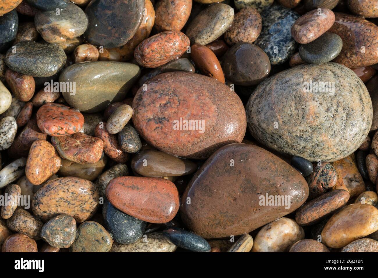 Smooth granite pebbles on beach of Lake Superior, Whitefish Point ...