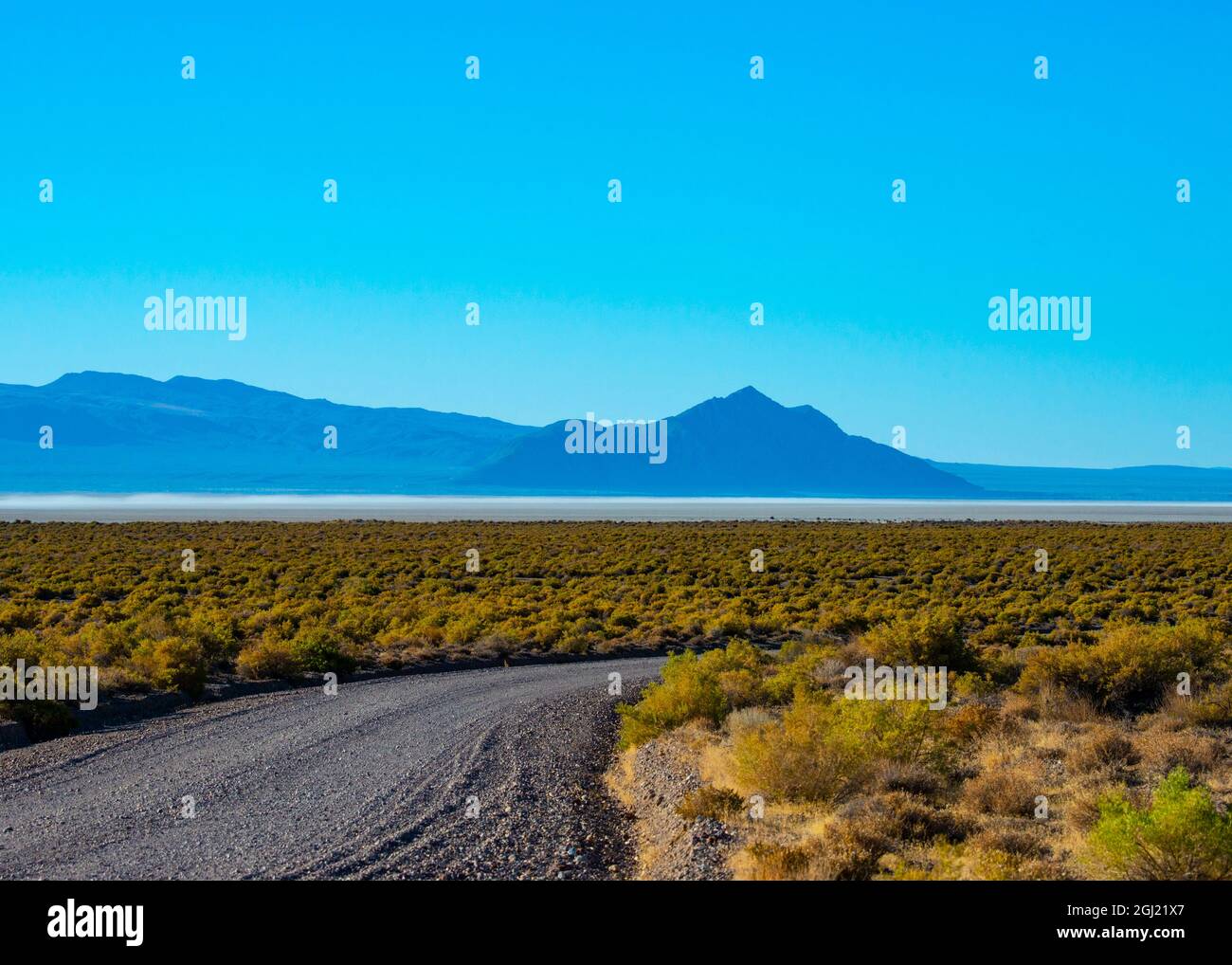 USA, Nevada, Black Rock Desert, Playa and Pahute Peak Wilderness from ...