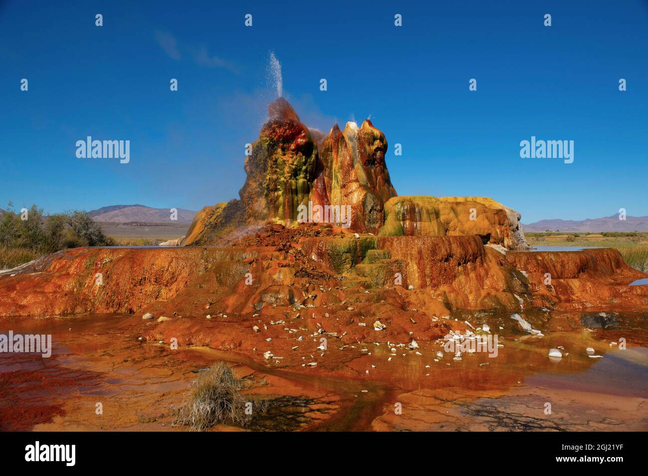 USA, Nevada, Black Rock Desert, Fly Geyser a rainbow of colors Stock ...