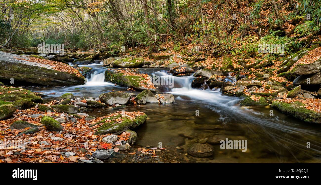 Cherokee national park hi-res stock photography and images - Alamy