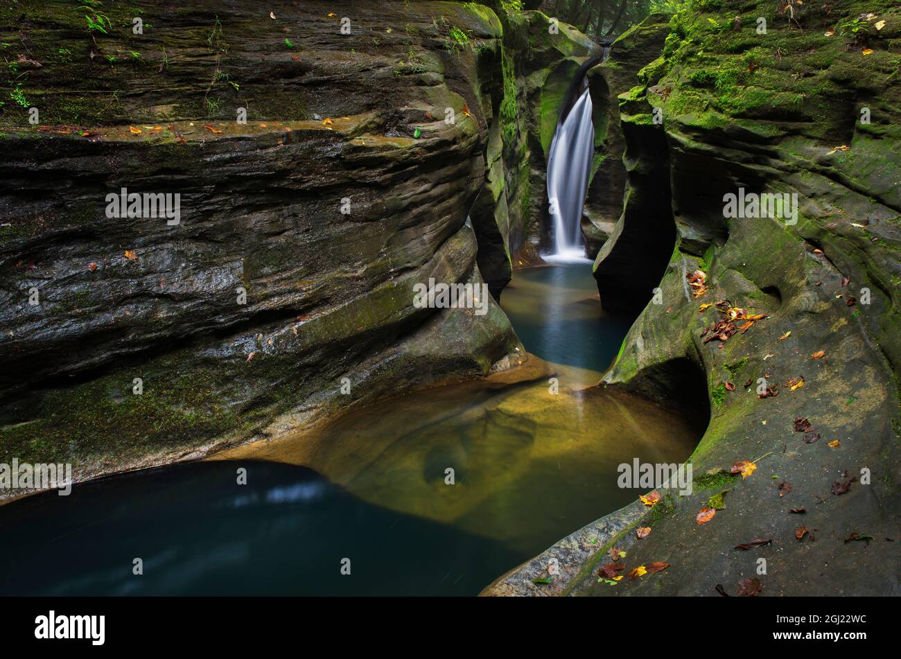 Robinson Falls, also known as Corkscrew Falls, carves through a small ...