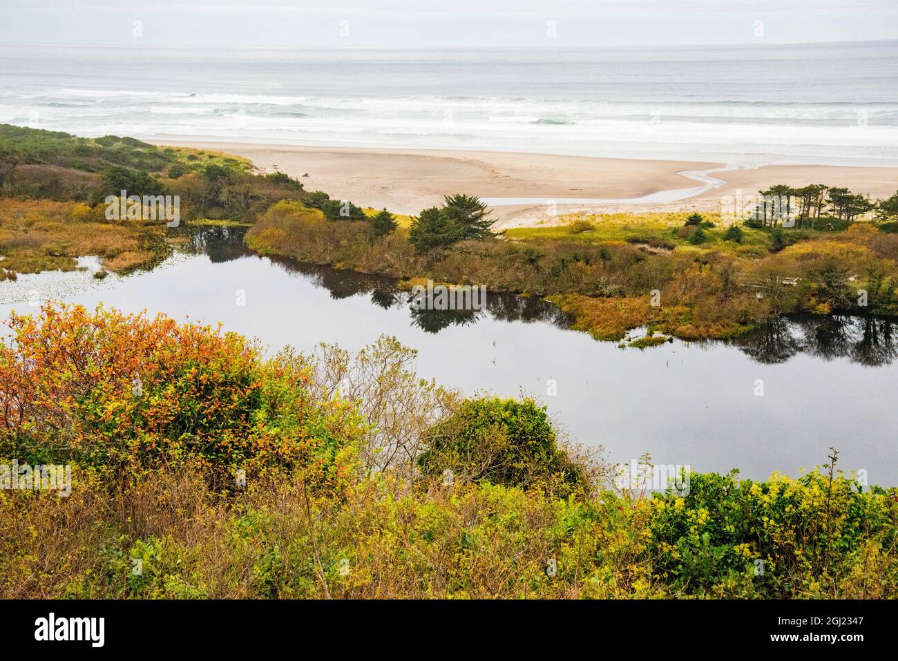 Wetland overlook hi-res stock photography and images - Alamy