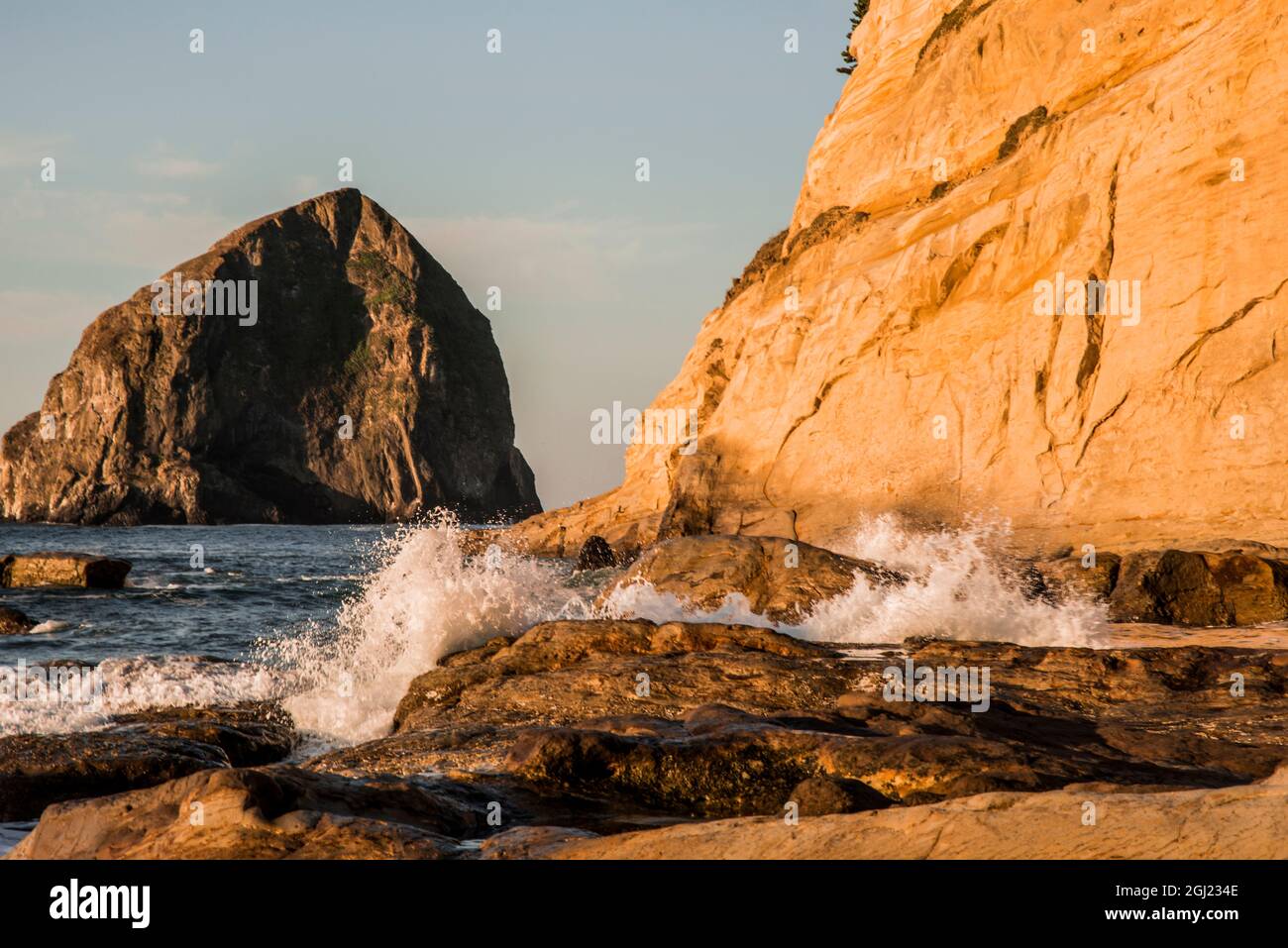 USA, Oregon. Sunrise on the beach, sedimentary promontory reflected in ...
