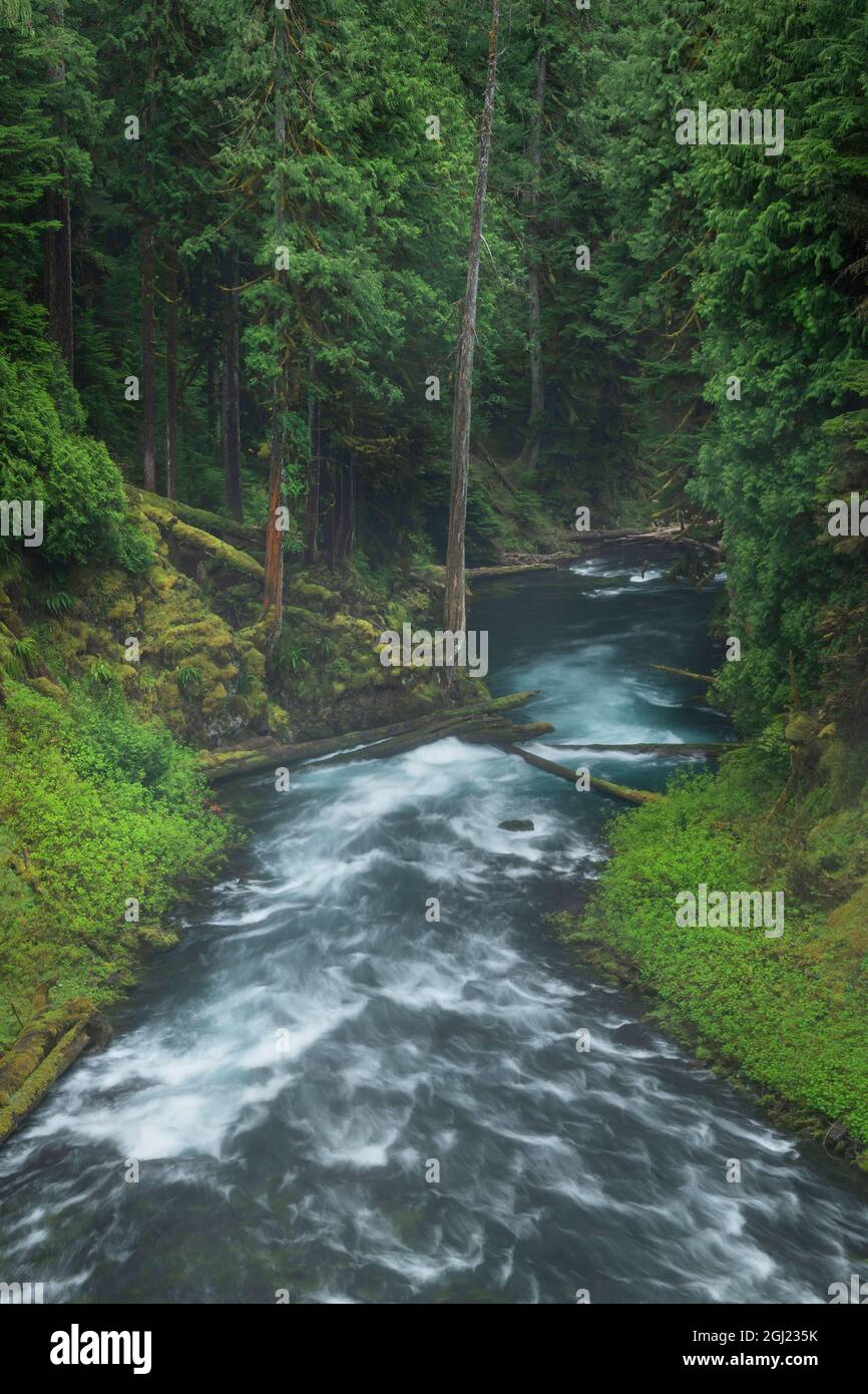 McKenzie River below Koosha Falls, Cascade Range, Oregon Stock Photo ...