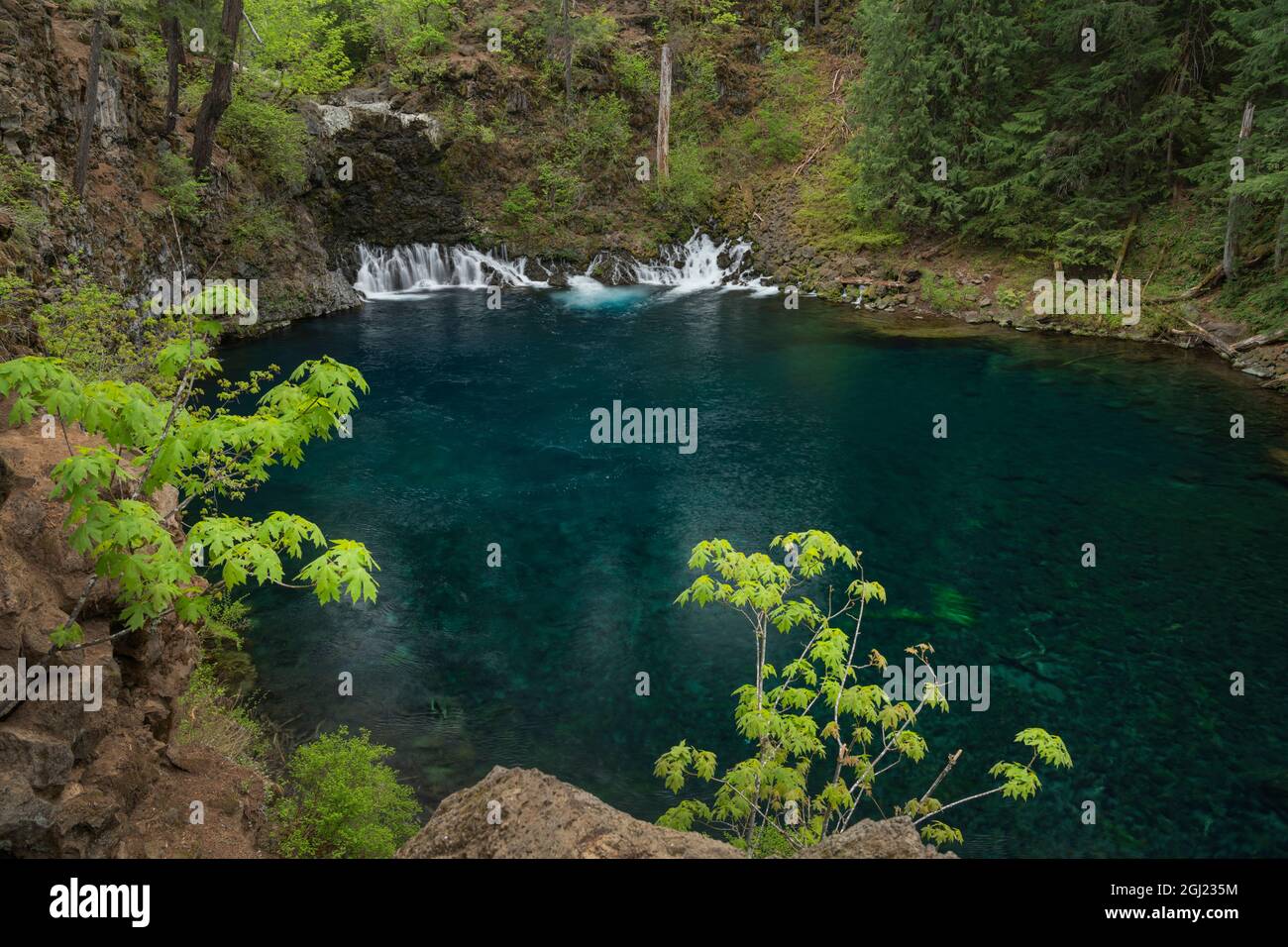 Mckenzie river national recreation trail hi-res stock photography and ...