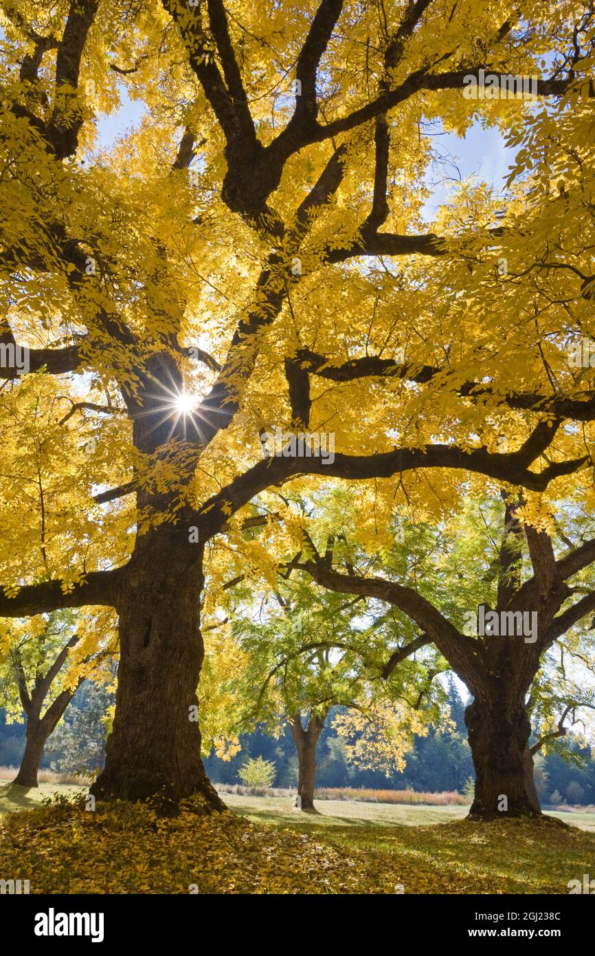 Joseph h stewart sp hi-res stock photography and images - Alamy