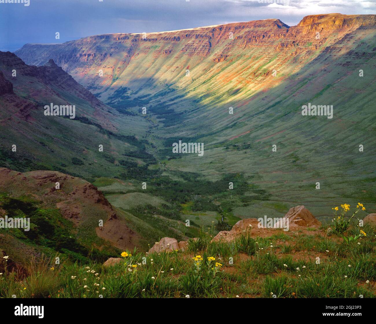 USA, Oregon. Steens Mountain and Kiger Gorge landscape Stock Photo - Alamy