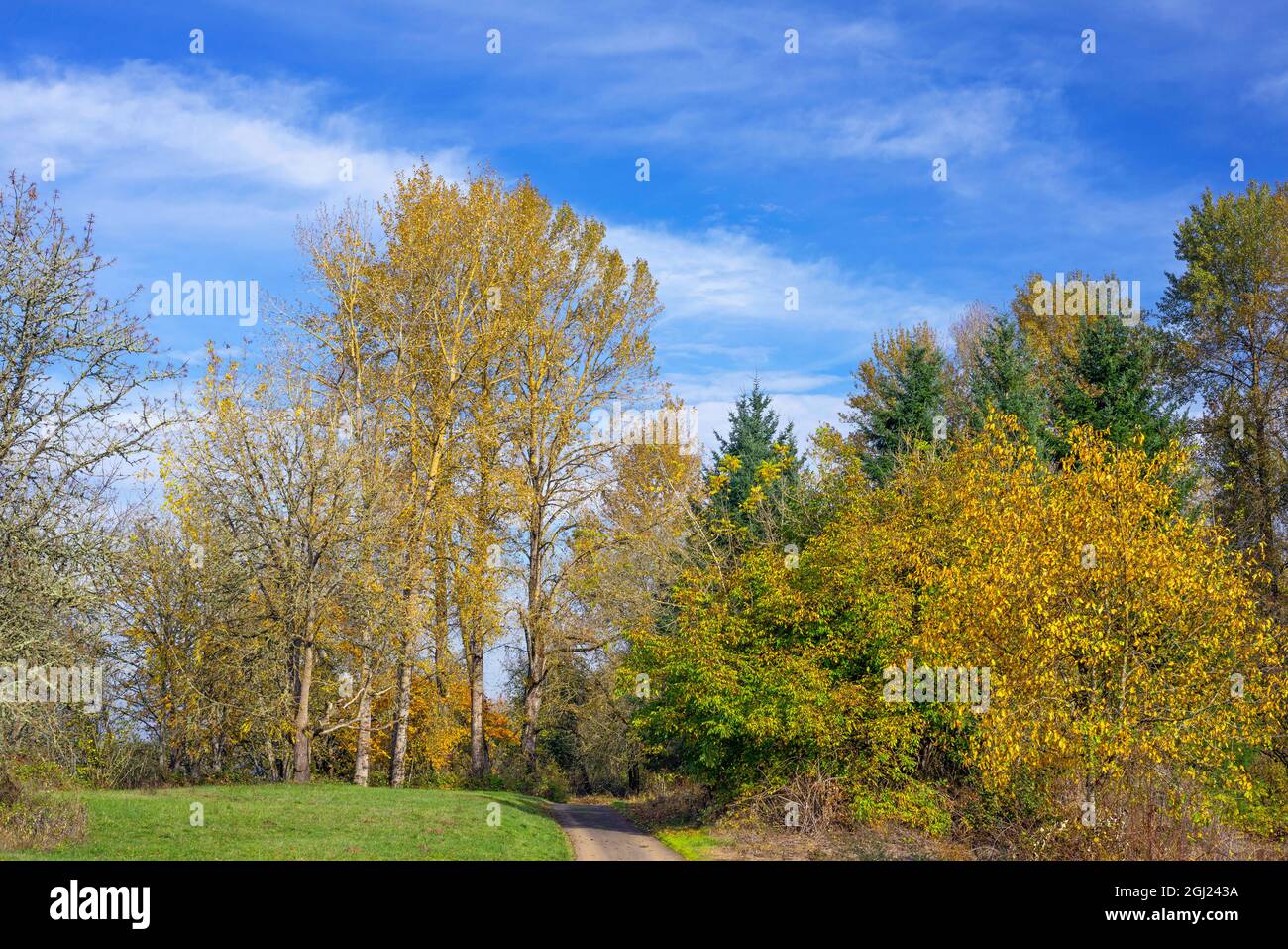 USA, Oregon. Willamette Mission State Park, Wide trail leads towards ...