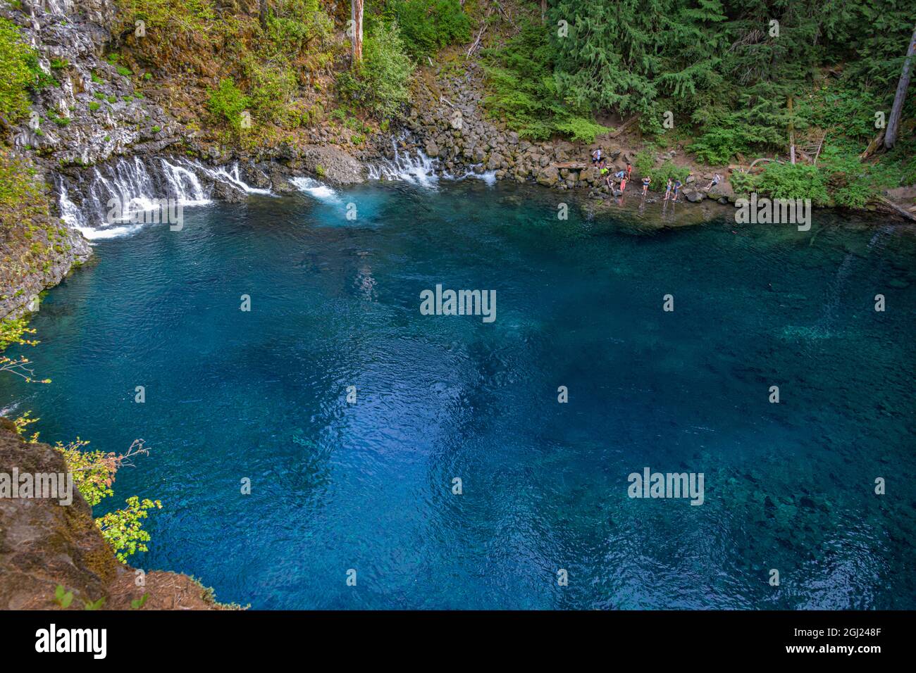 Tamolitch Falls Blue Pool on the McKenzie National Wild and Scenic ...