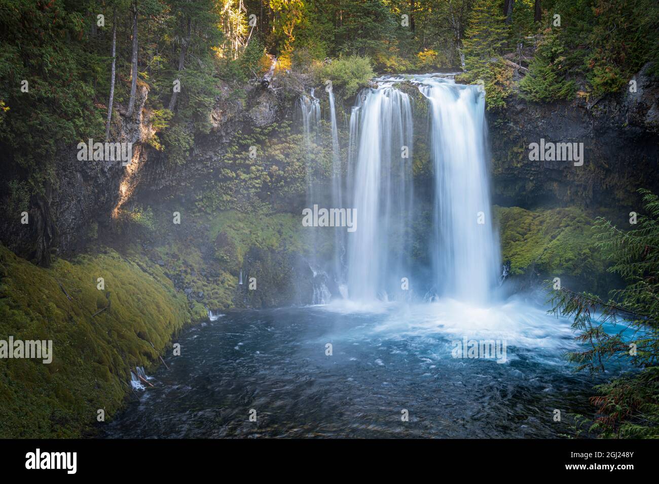 USA, Oregon, Cascade Range, Linn County, Willamette National Forest ...