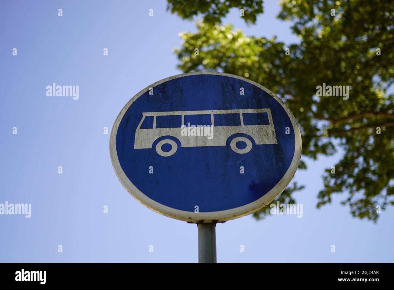 Low angle shot of a blue bus stop sign Stock Photo - Alamy
