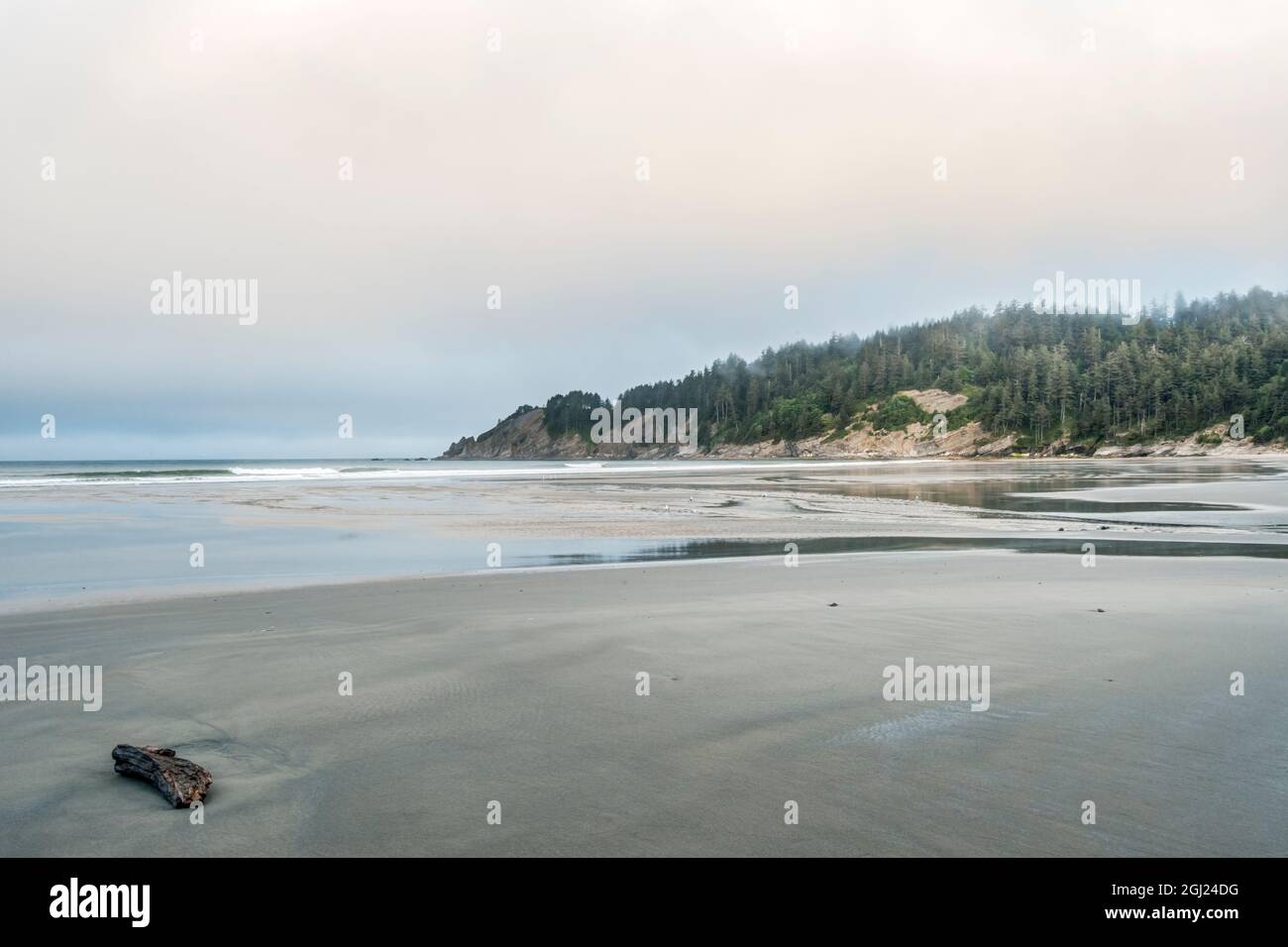 USA, Oregon. Oswald West State Park, Short Sand Beach Stock Photo - Alamy